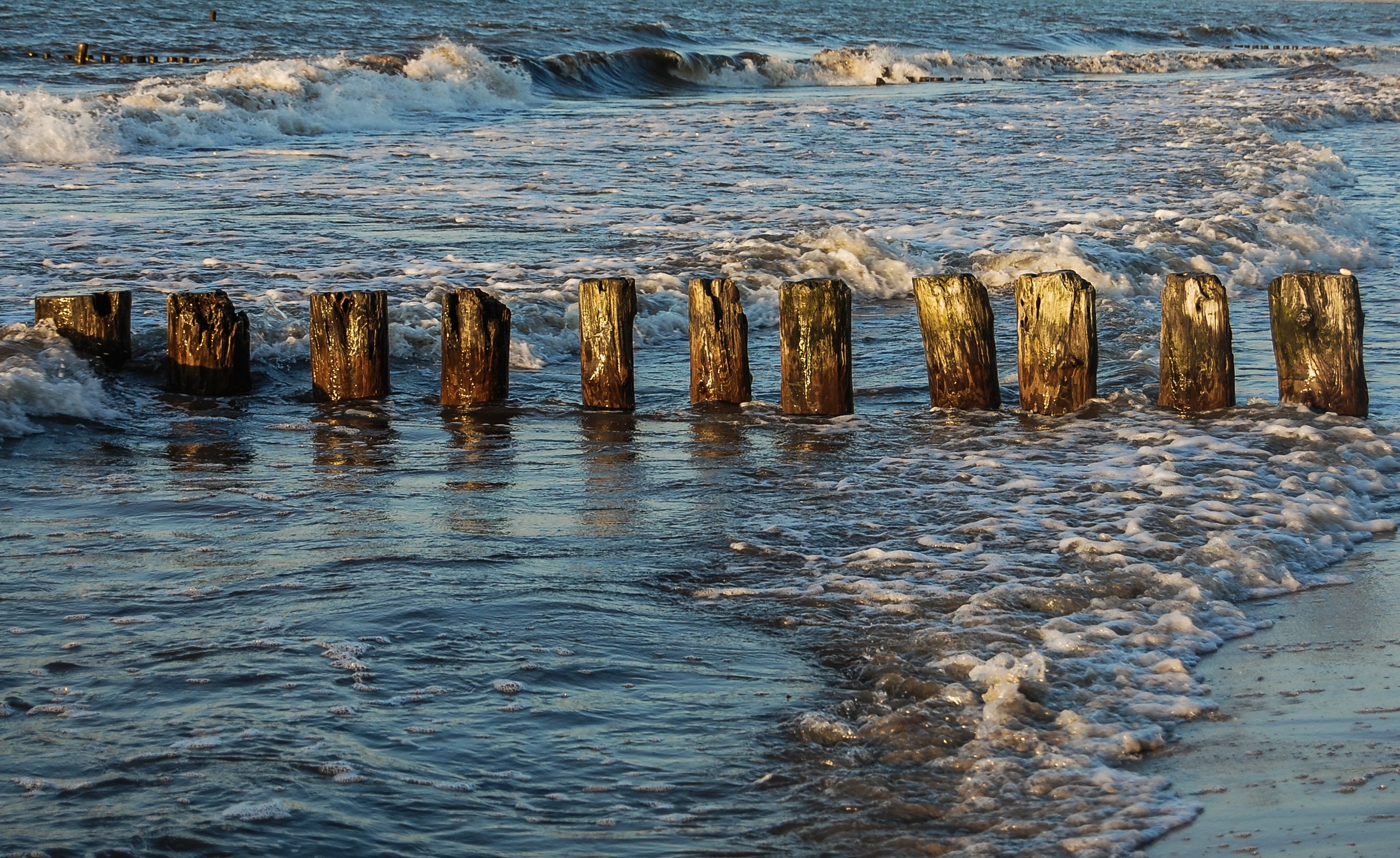 Groynes Sea Baltic free image download