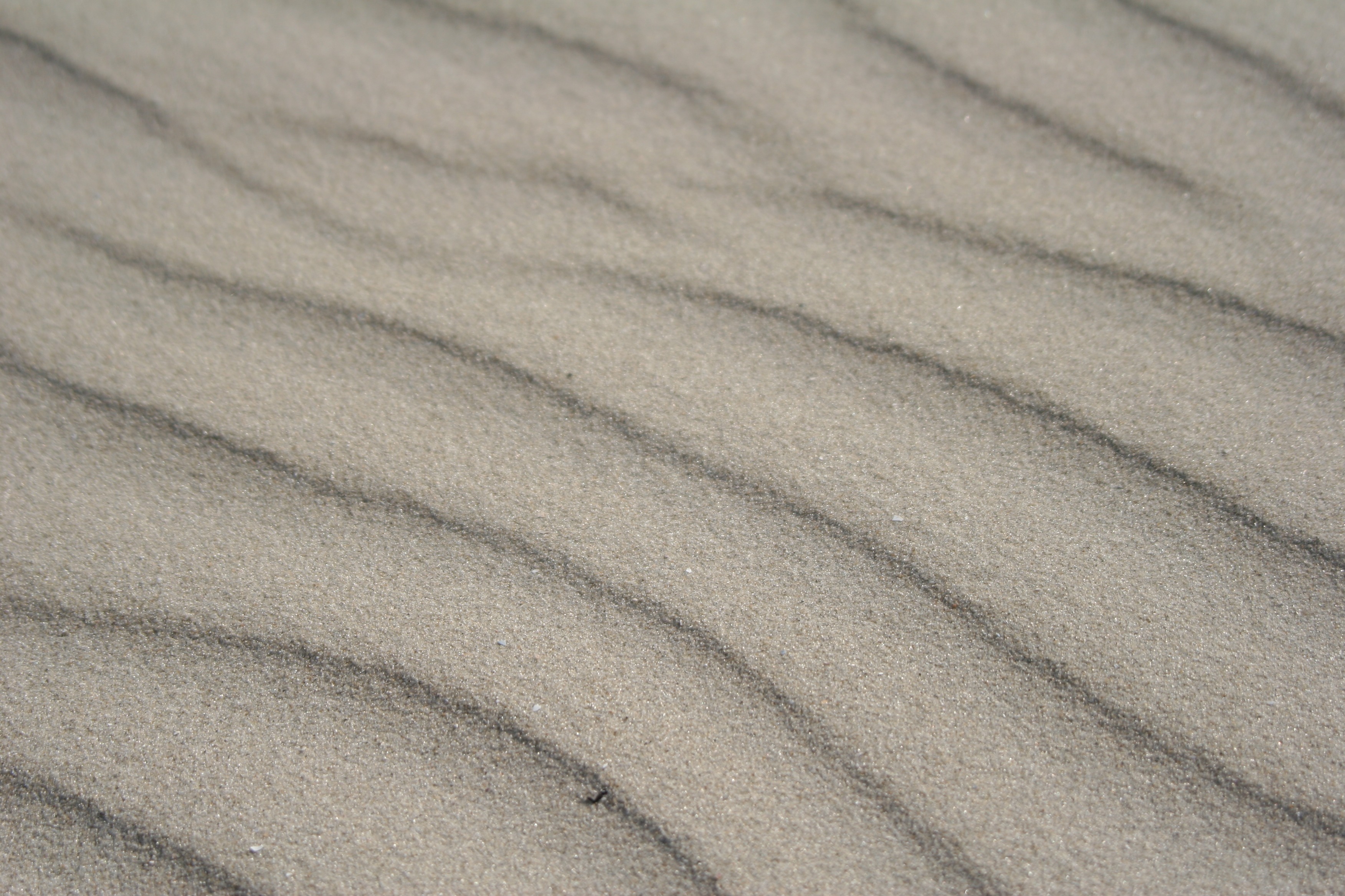 Beach Sand Wind Structure In The free image download