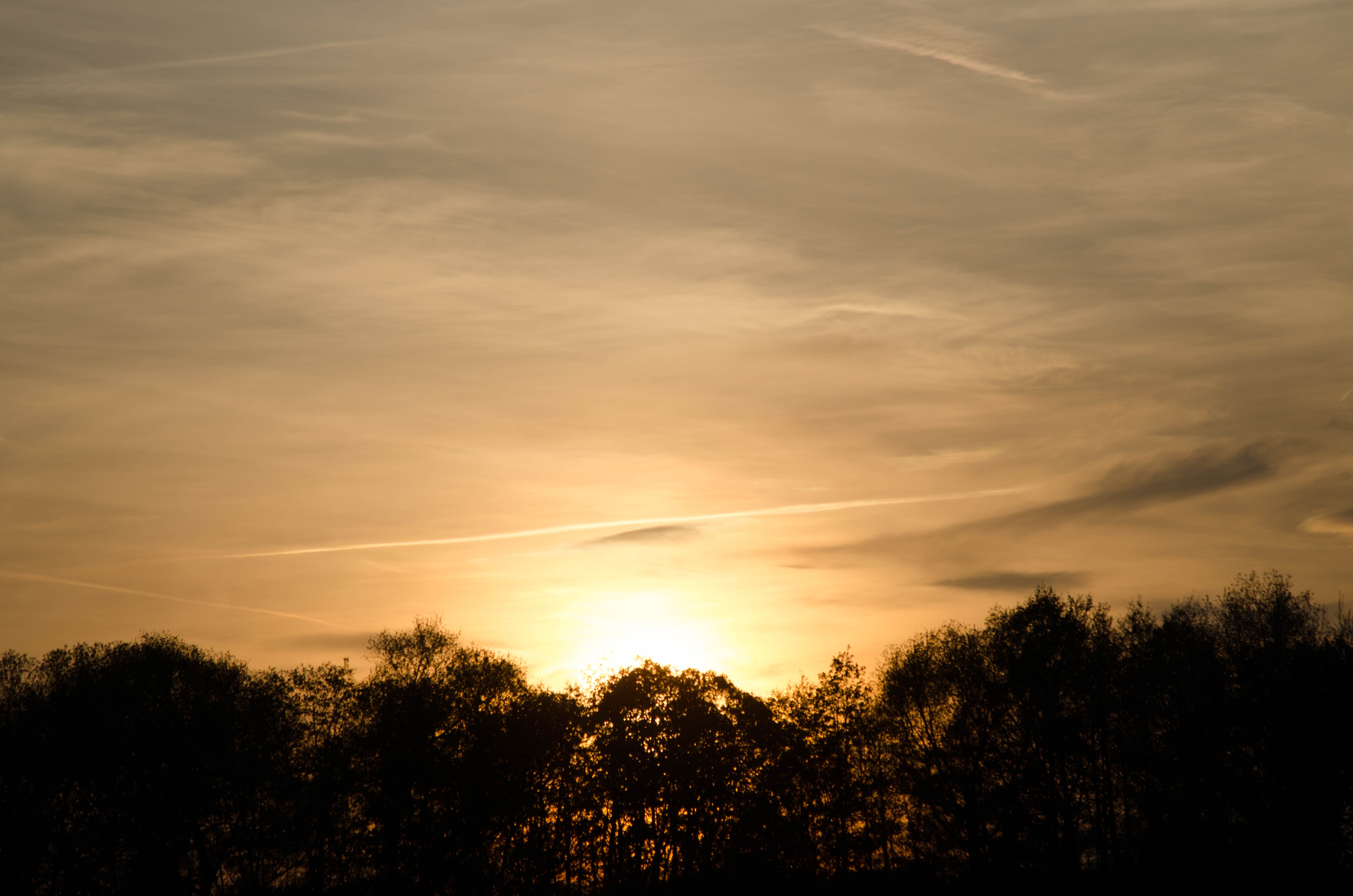 Sun Sunset Landscapes free image download