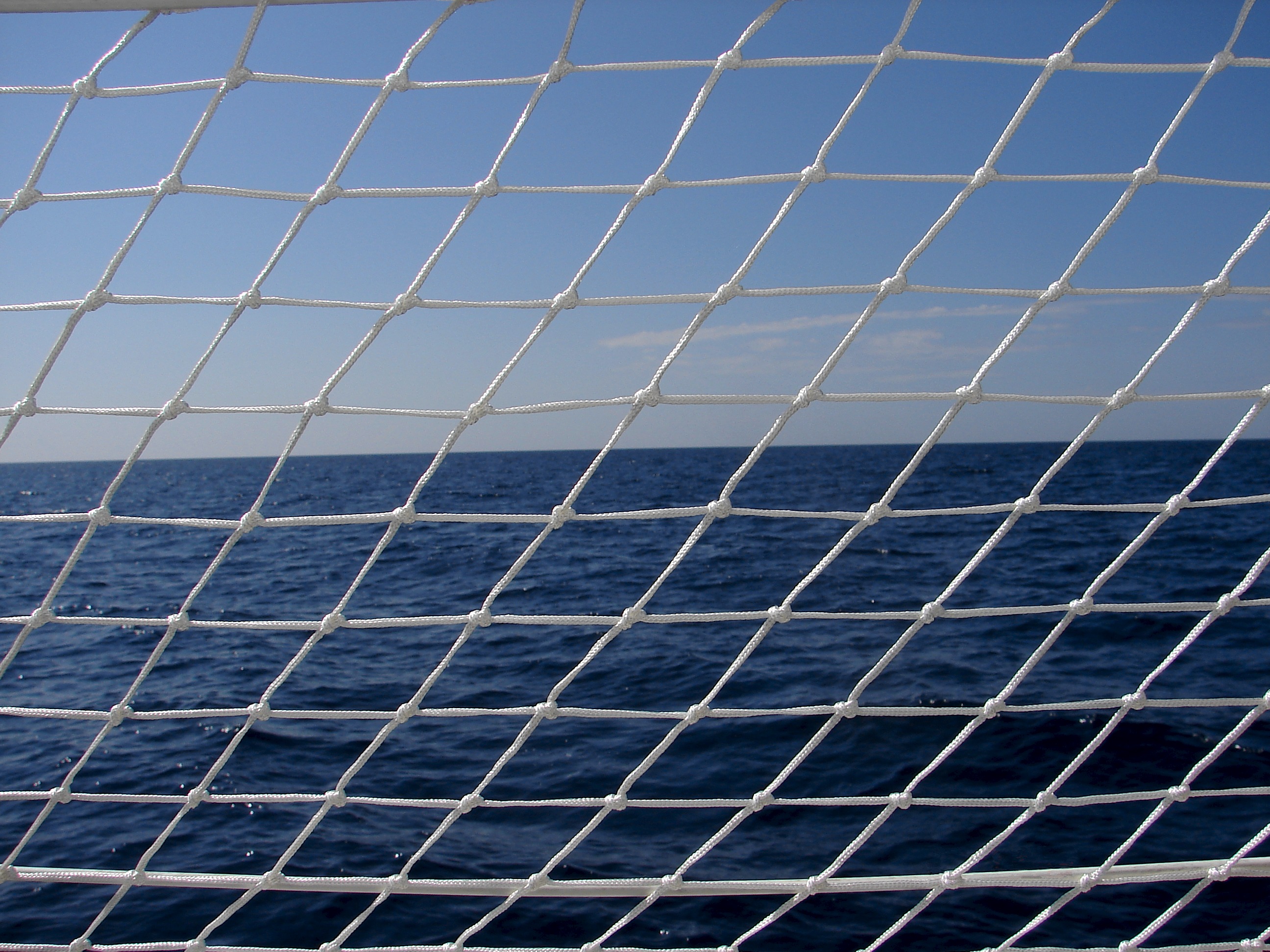 Sail Sea Web free image download
