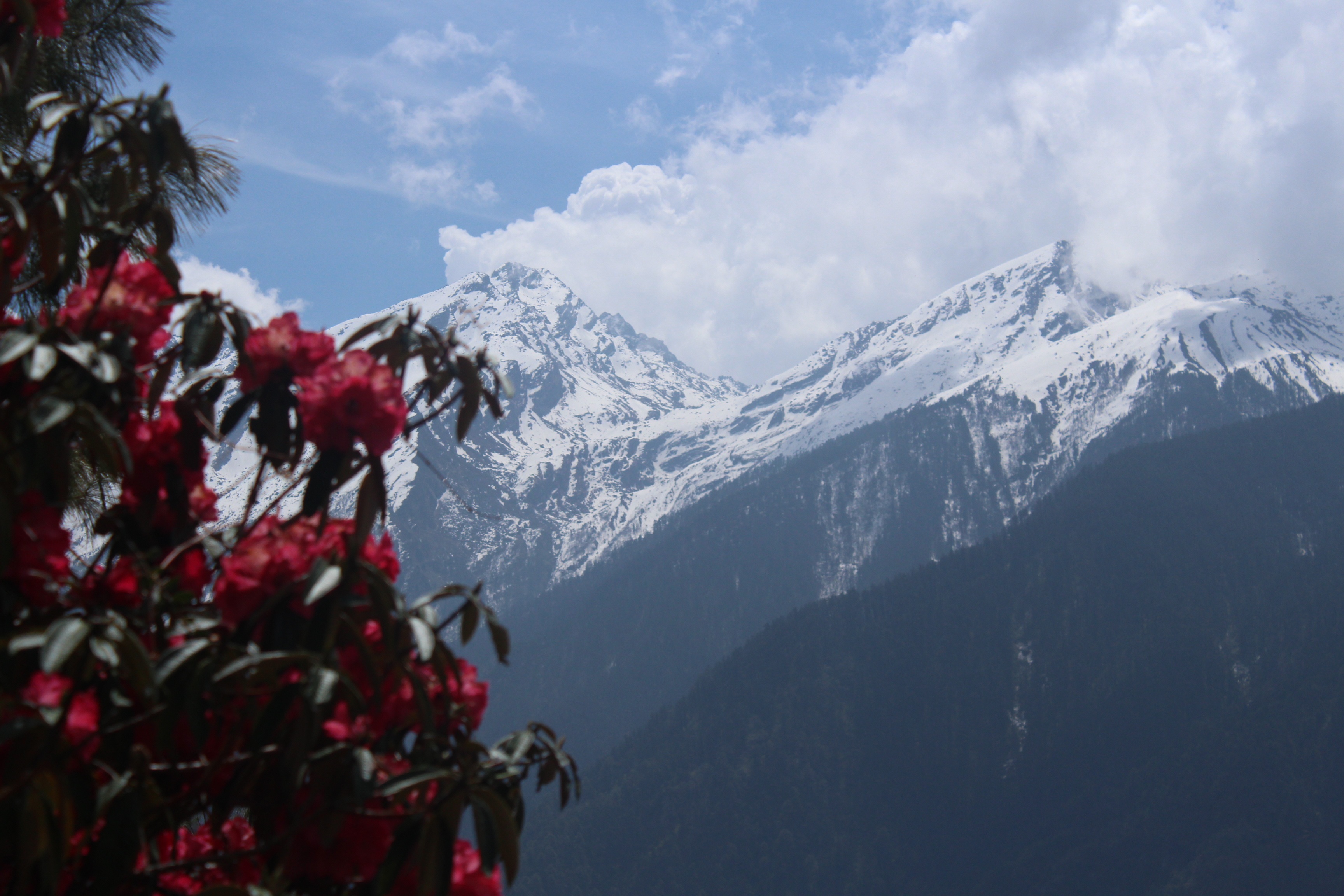 Nepal Trekking free image download