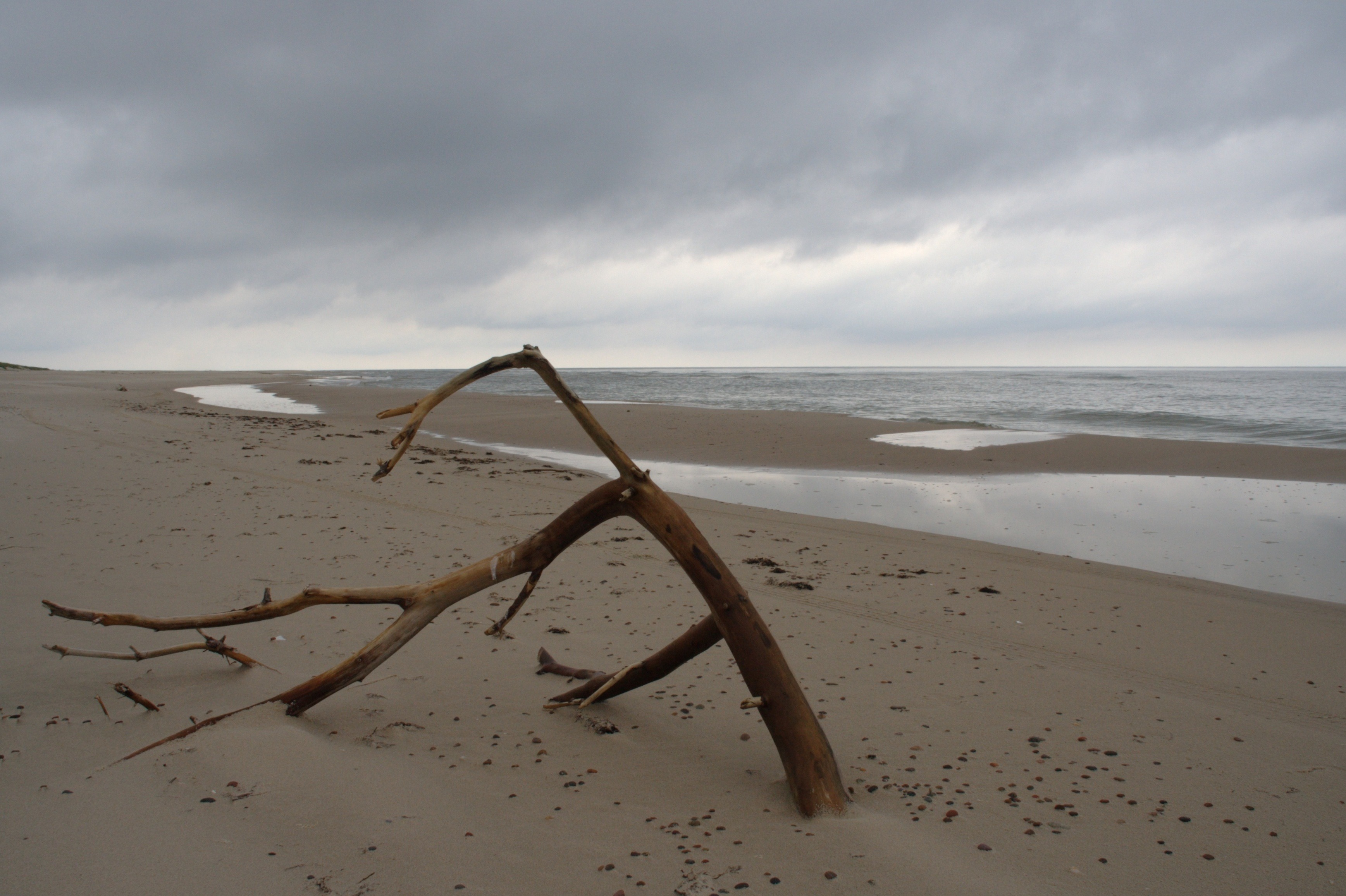 Beach Branch Lonely free image download