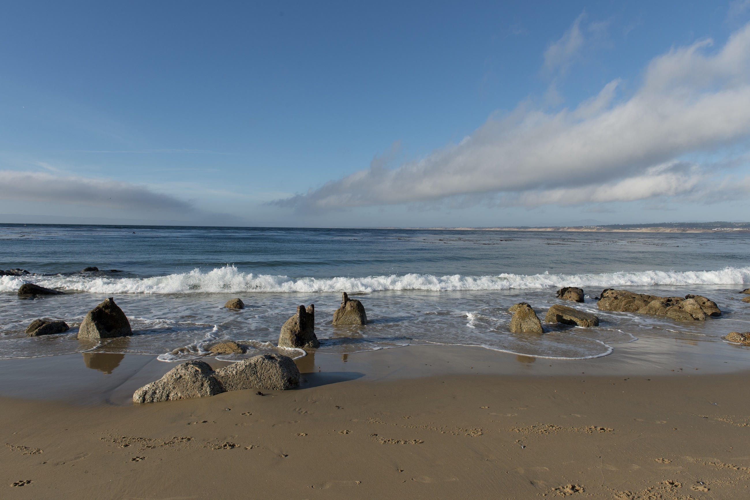 Surf Beach Ocean free image download