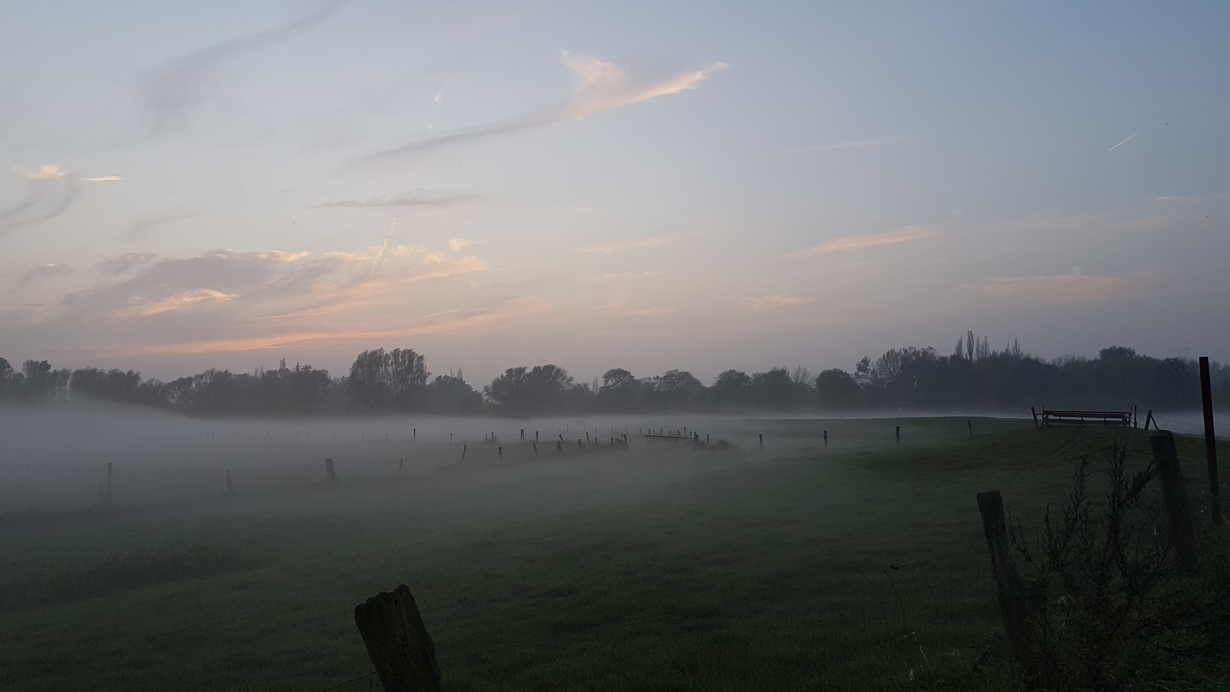 Fog Landscape Dusk free image download