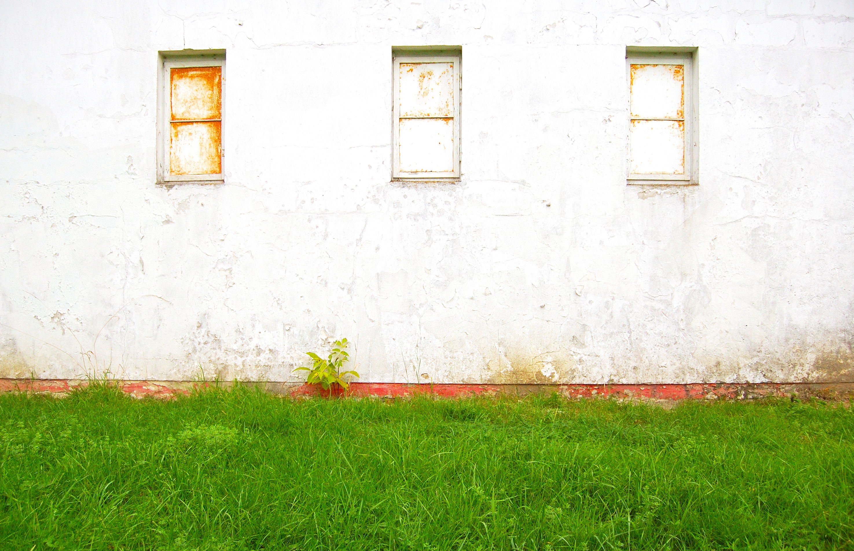 Wall Window Grass free image download