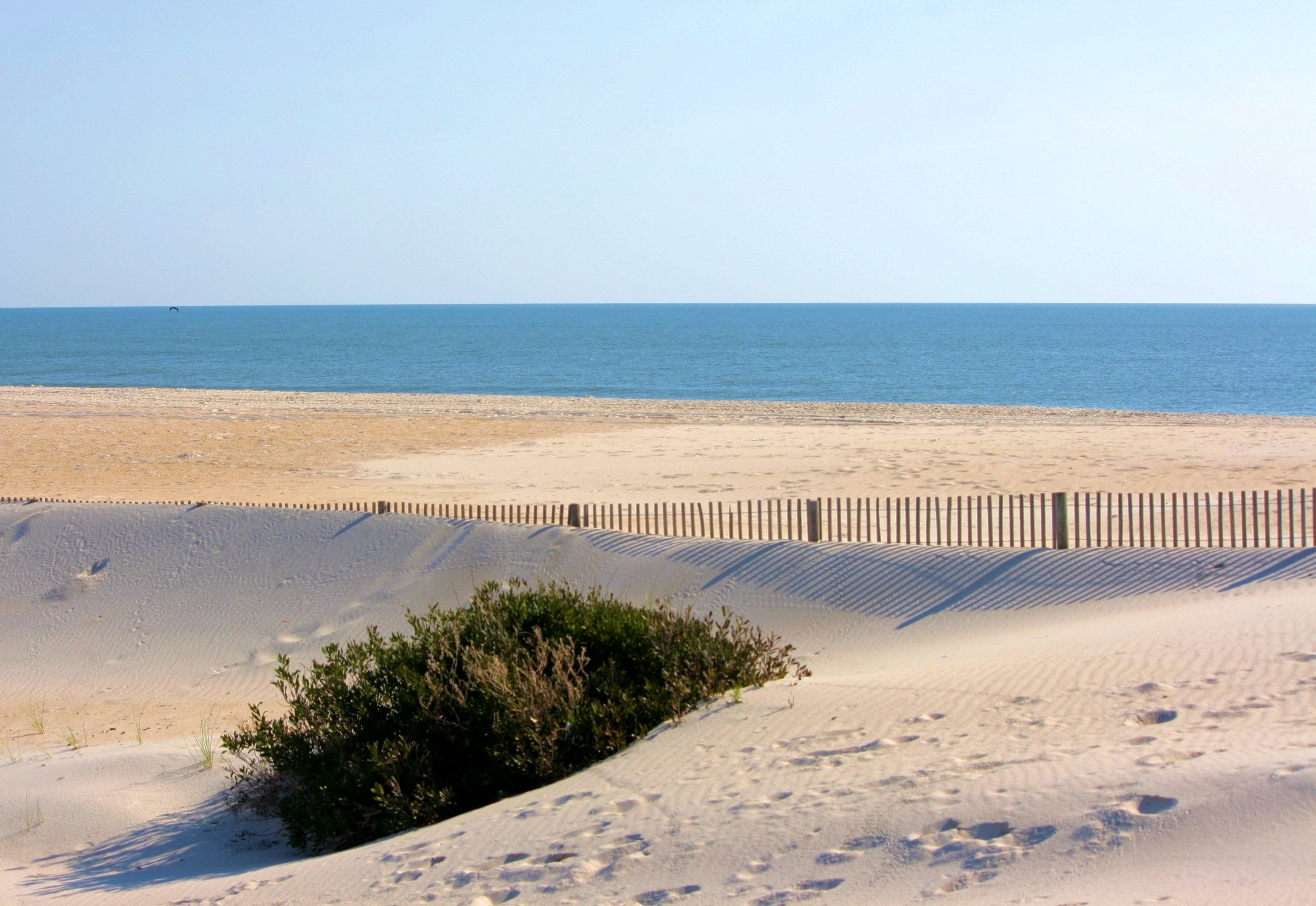 Beach Windswept Sand Erosion free image download