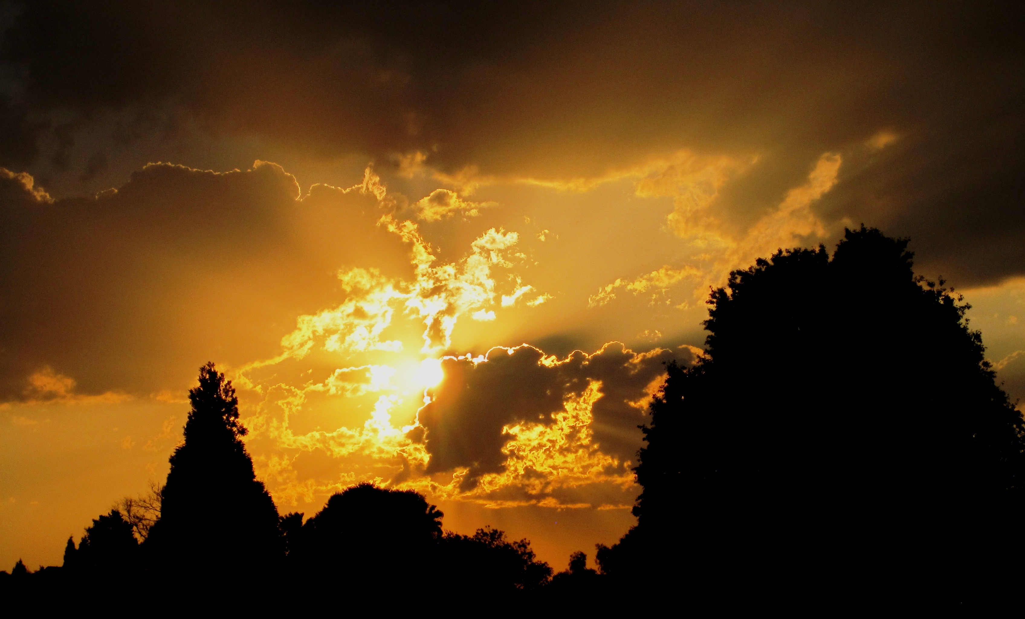 Sunset Sun White free image download