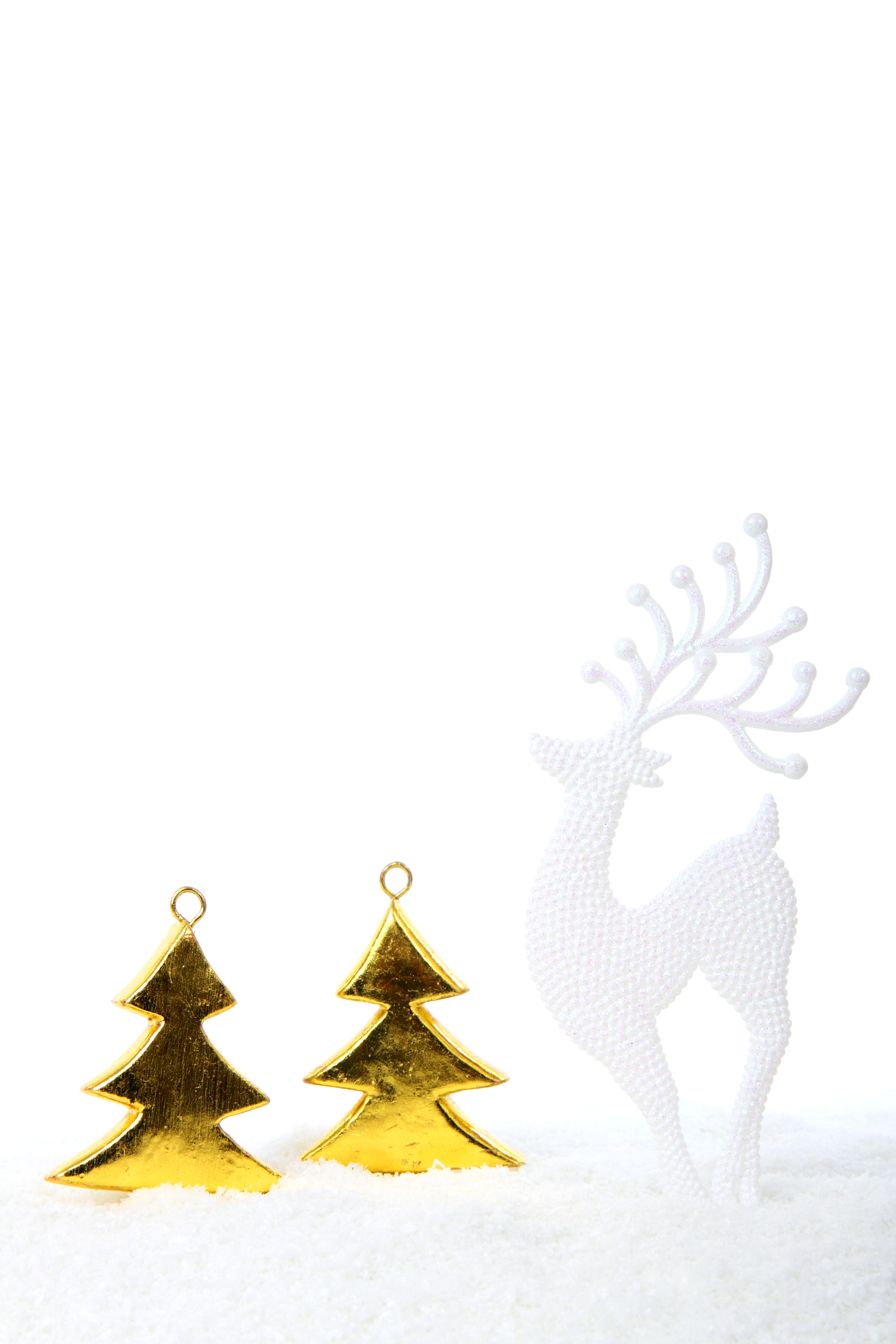 Tree Trees Celebration free image download
