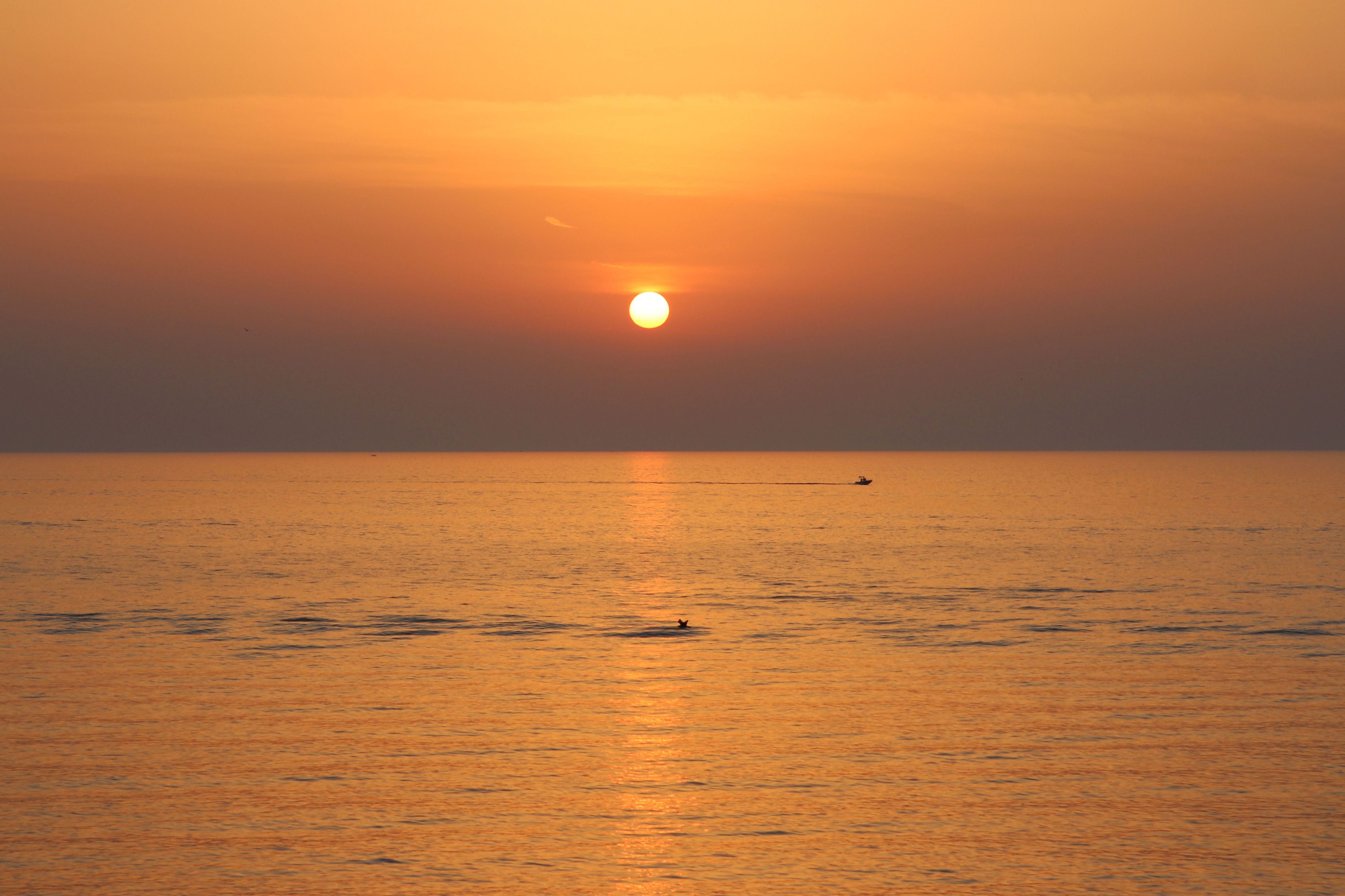 Sunset Sun Sea free image download