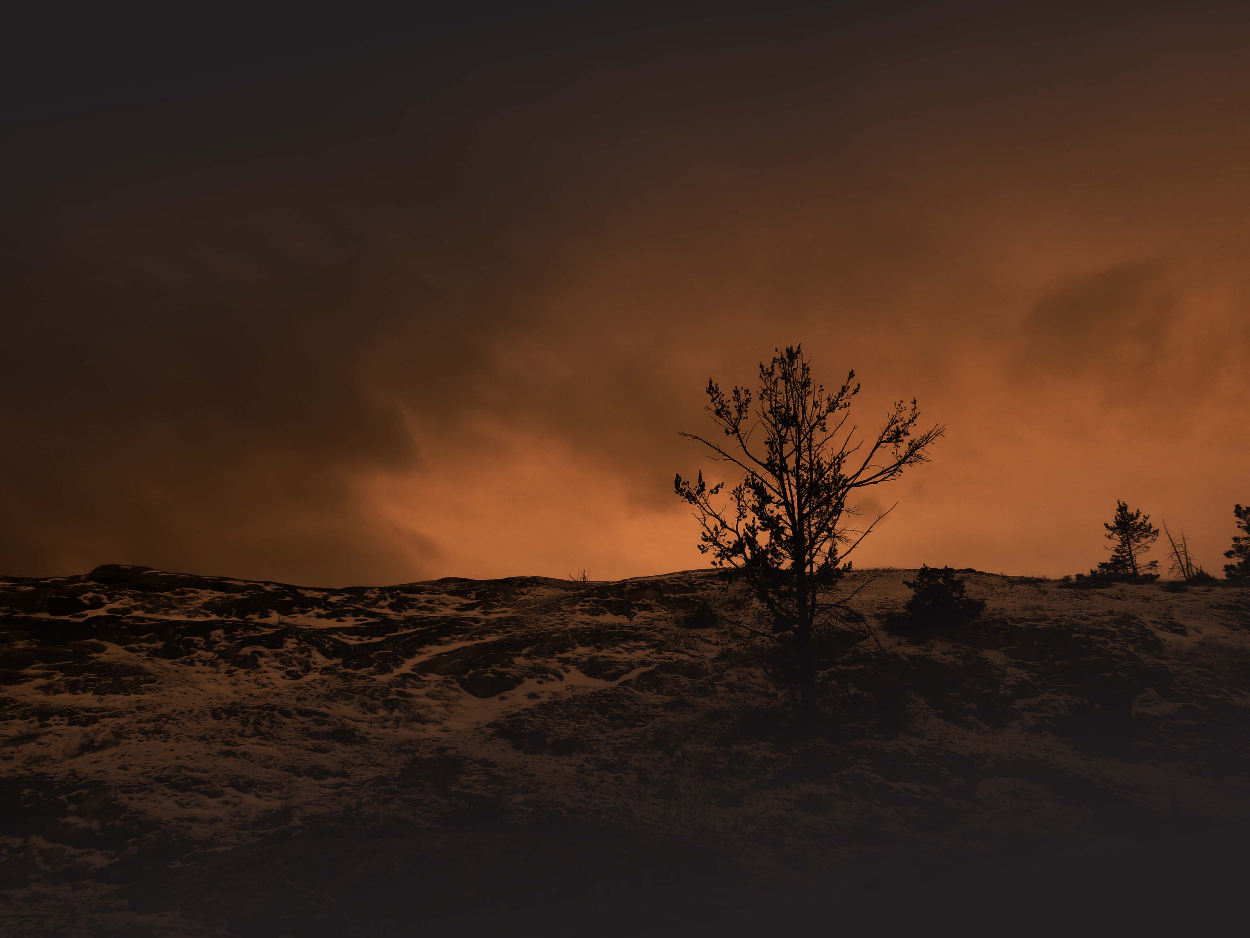 Landscape Sunset Barren free image download