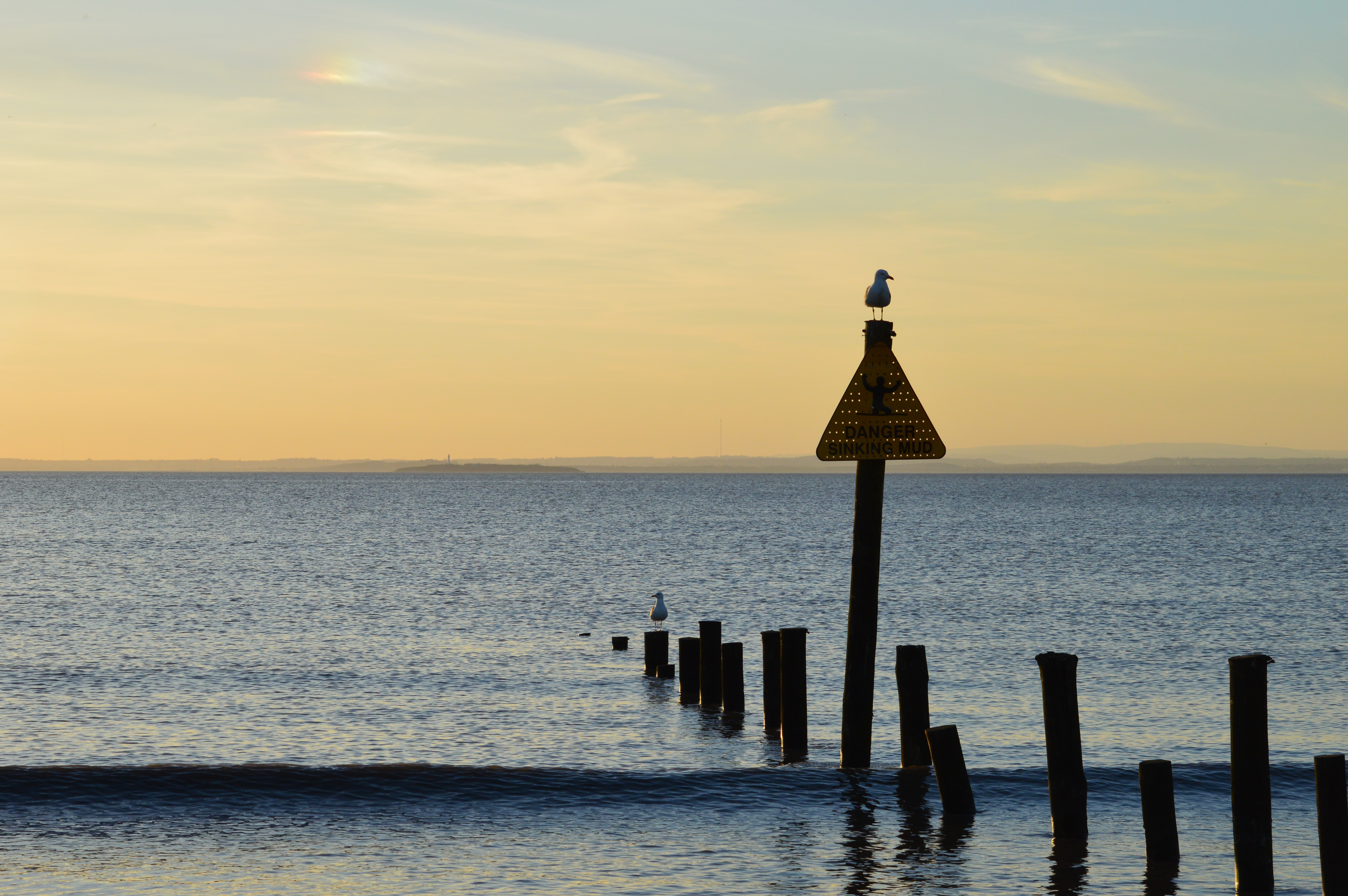 Sea Seaside Nature free image download