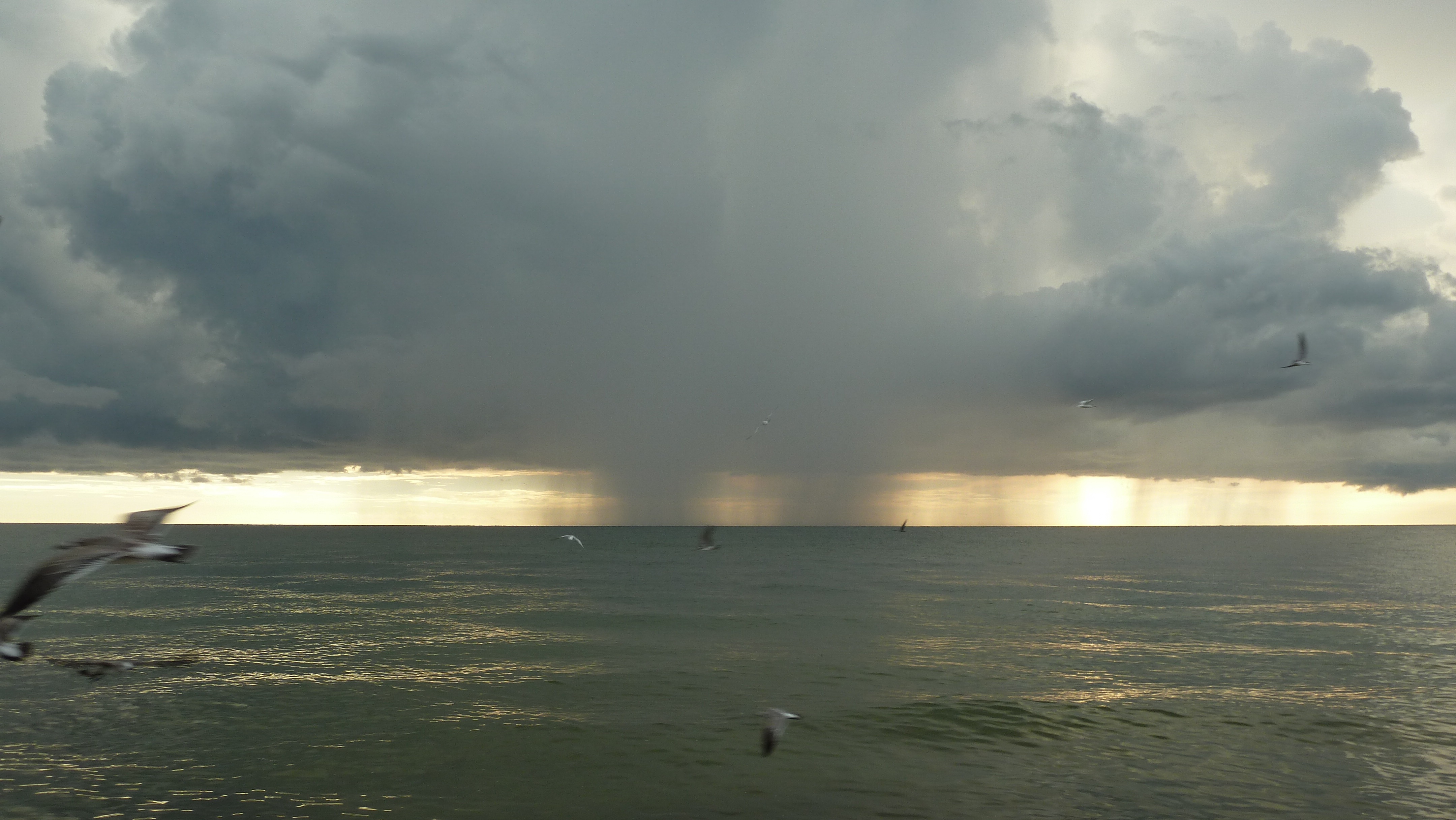 Cloud Rain Water free image download