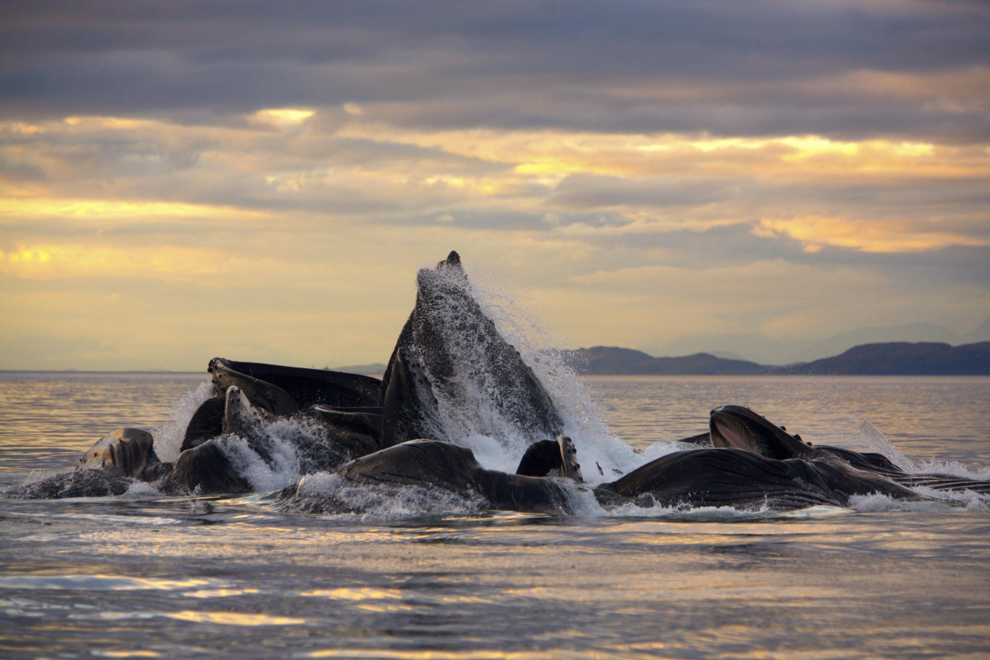 Landscape Mar Nature free image download