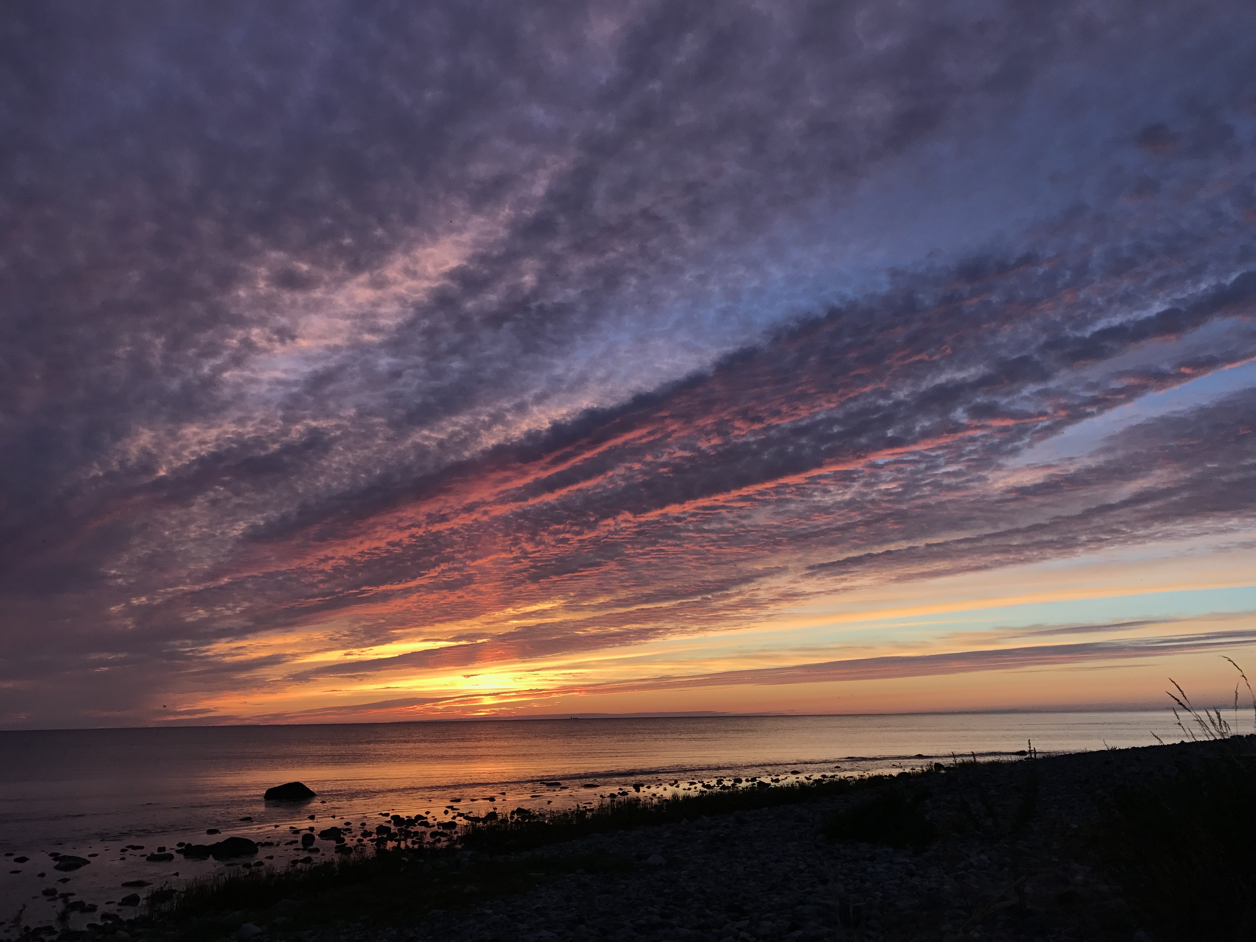Sunset Gotland Summer free image download