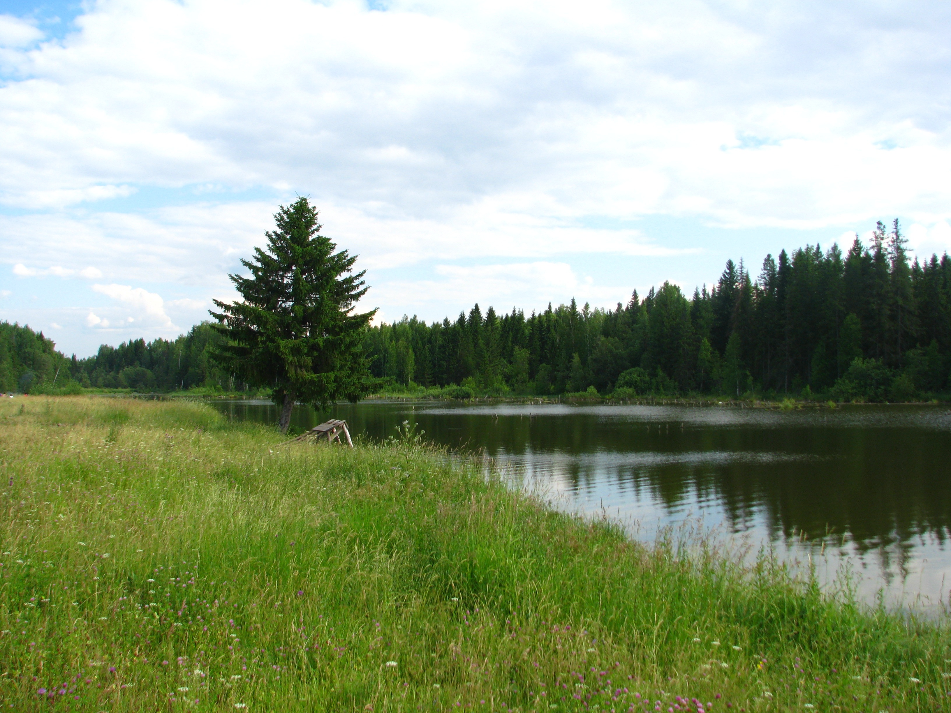 Perm Krai Pond Landscape free image download