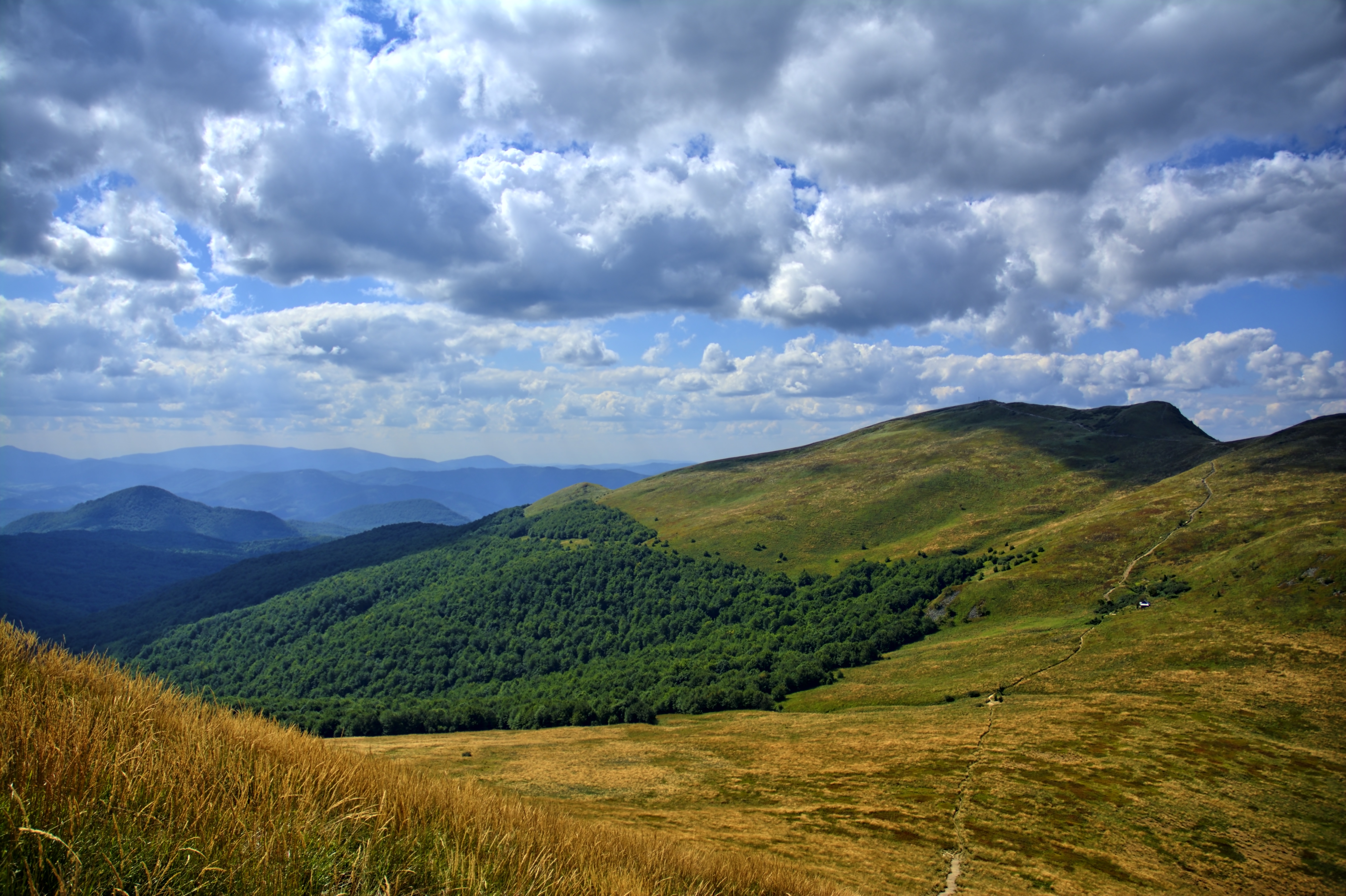 Bieszczady Tarnica Beech Berdo free image download