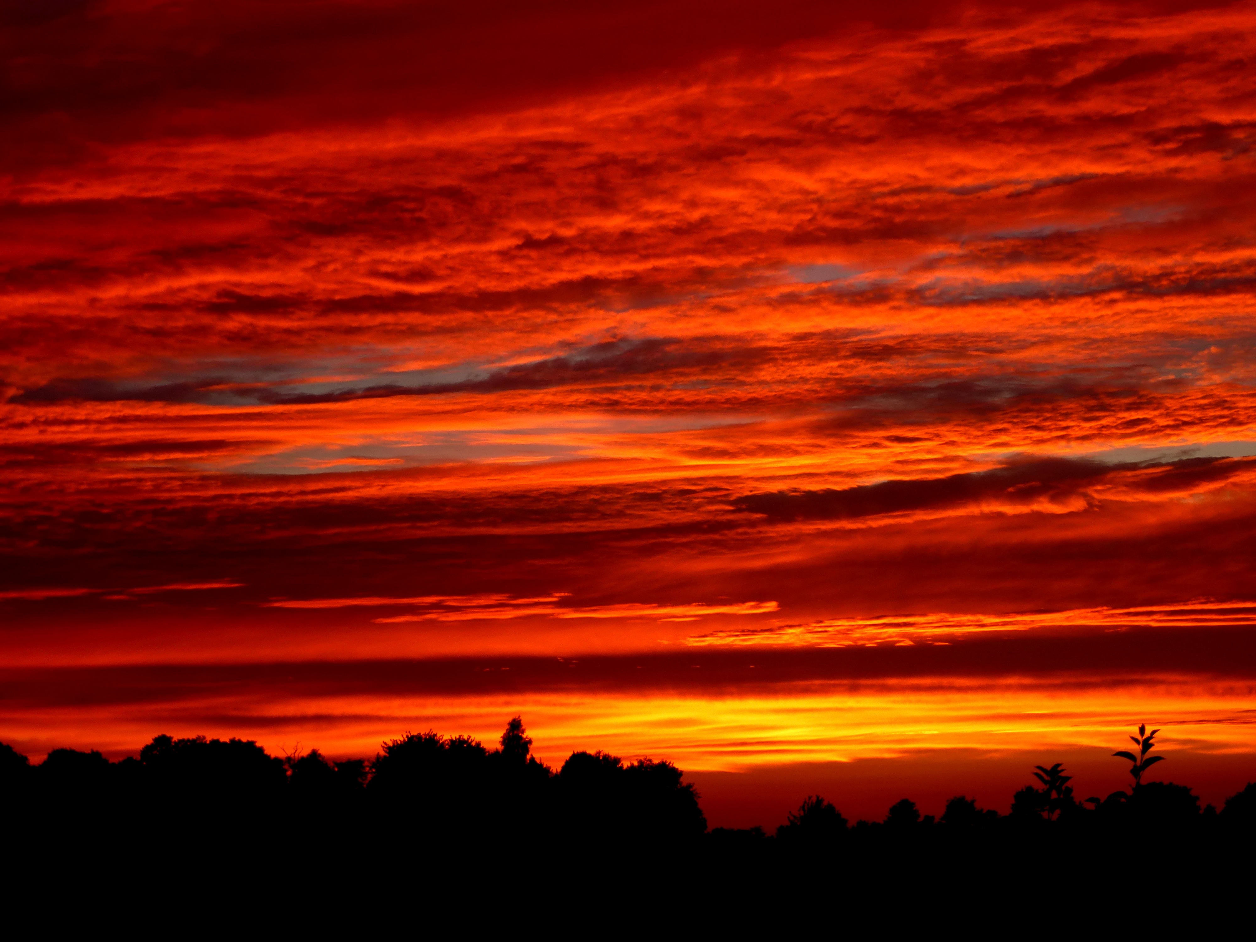 Sunset Evening Red free image download