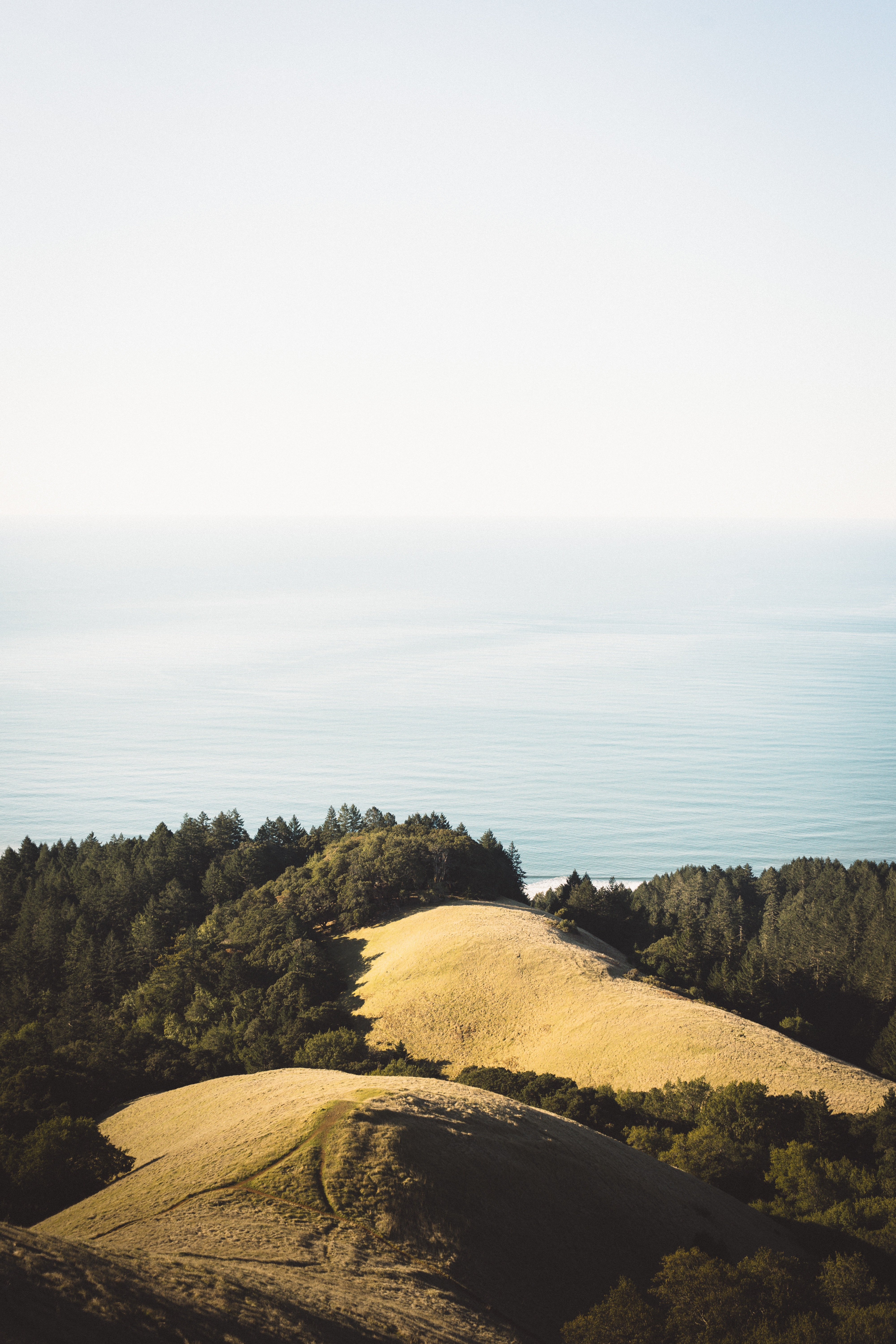 Nature Green Ocean free image download