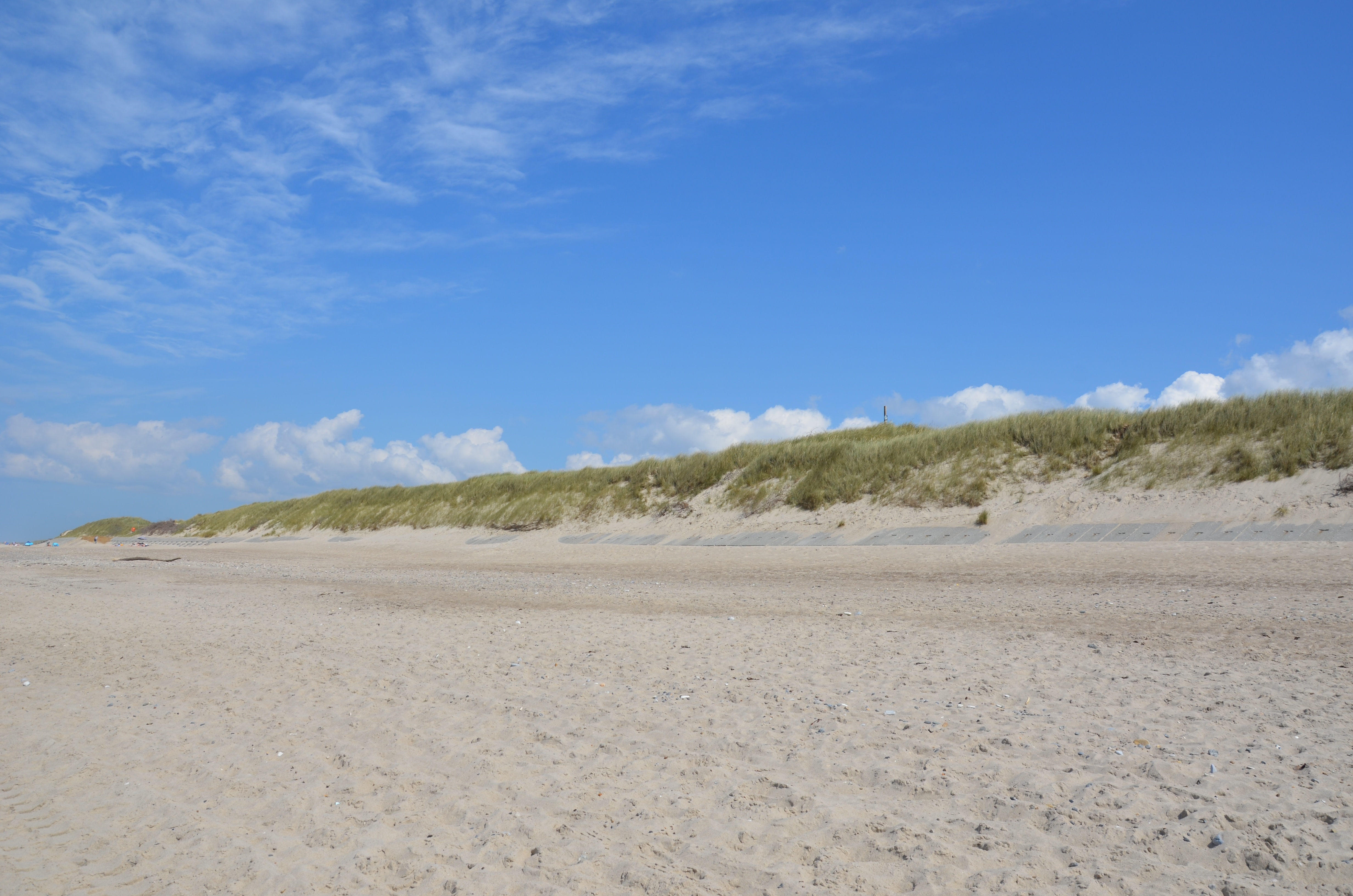 Denmark Beach Dunes North free image download