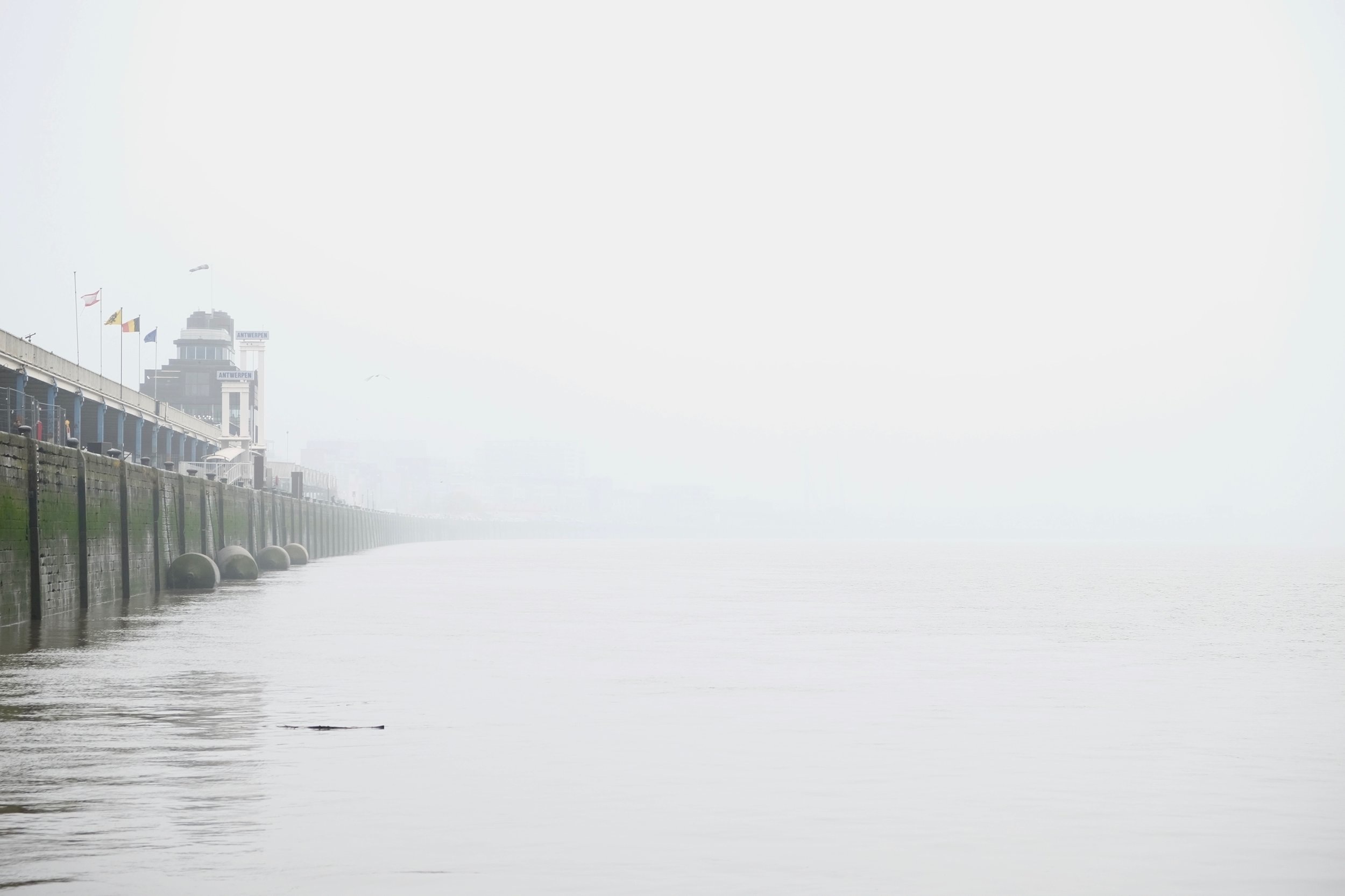 Dense fog over the sea by the bridge free image download