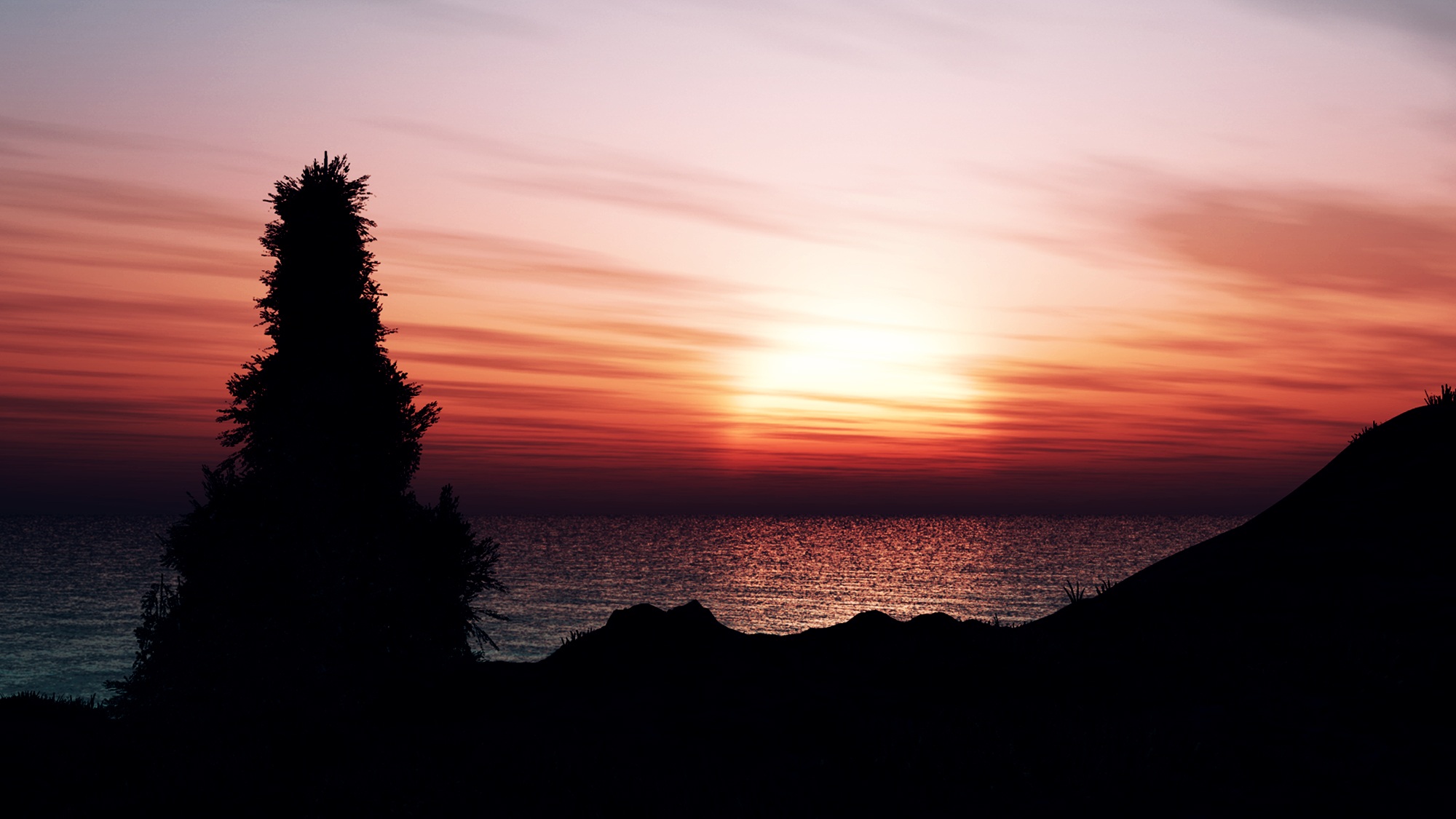 Sunset Sea Tree free image download