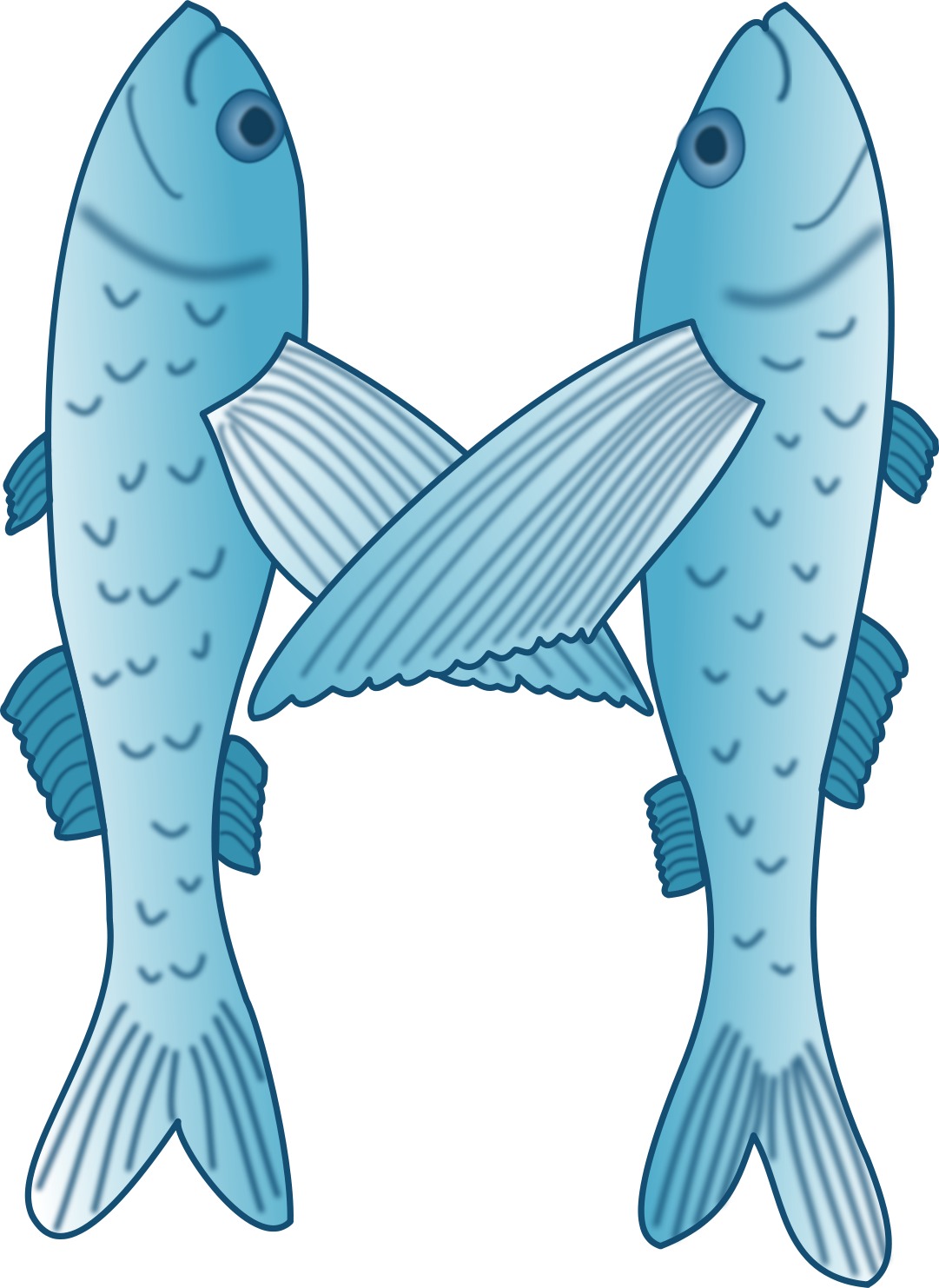 Flying fish exocoetidae free image download