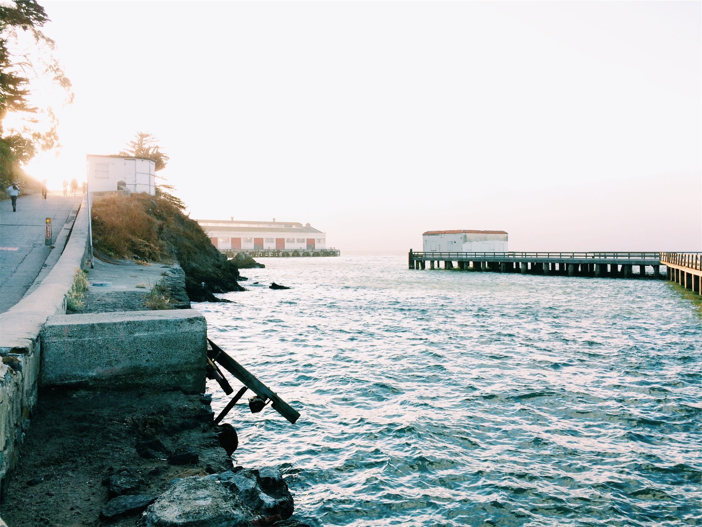 Dock Pier Water free image download