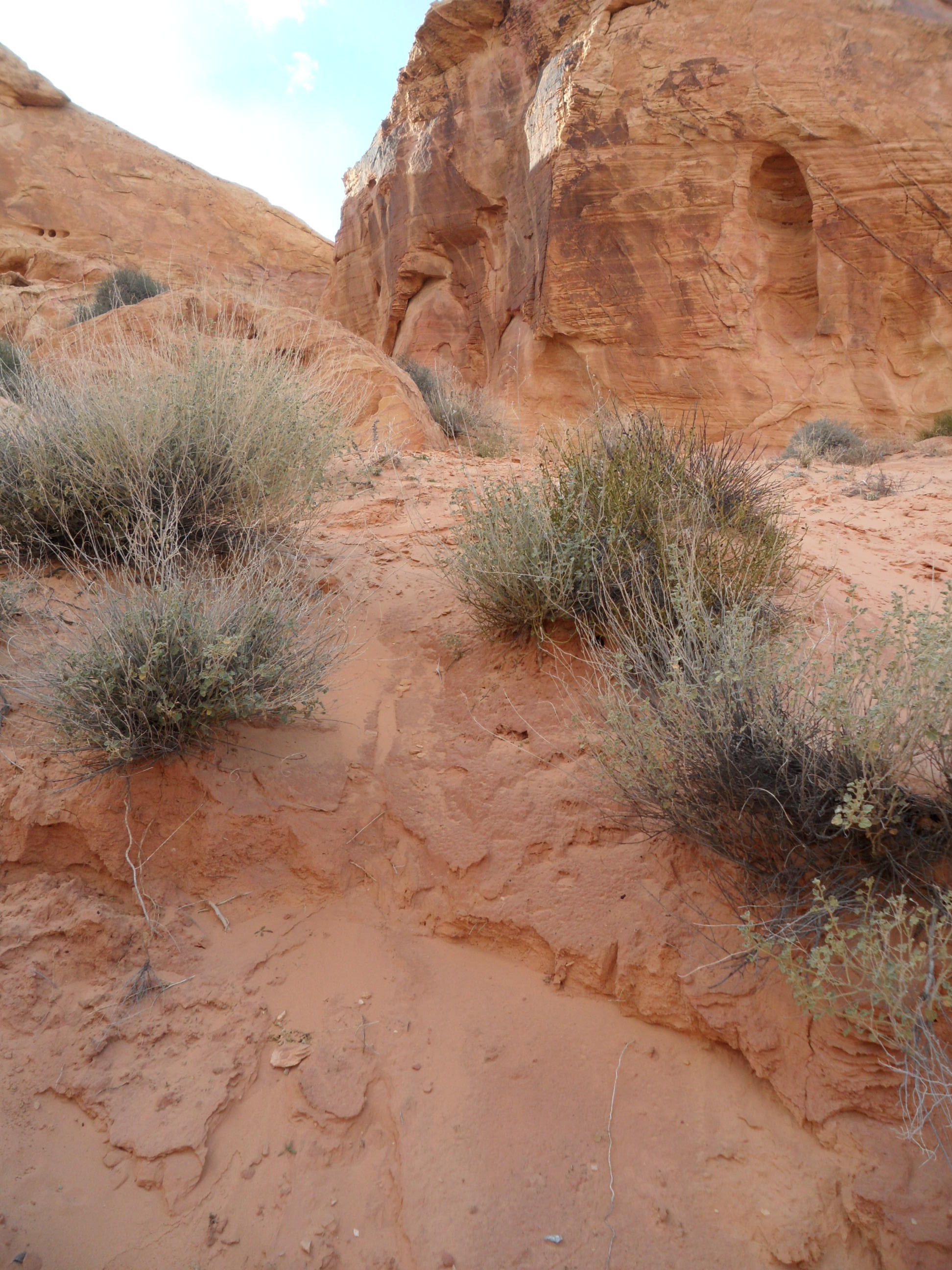Desert Sand Sun free image download