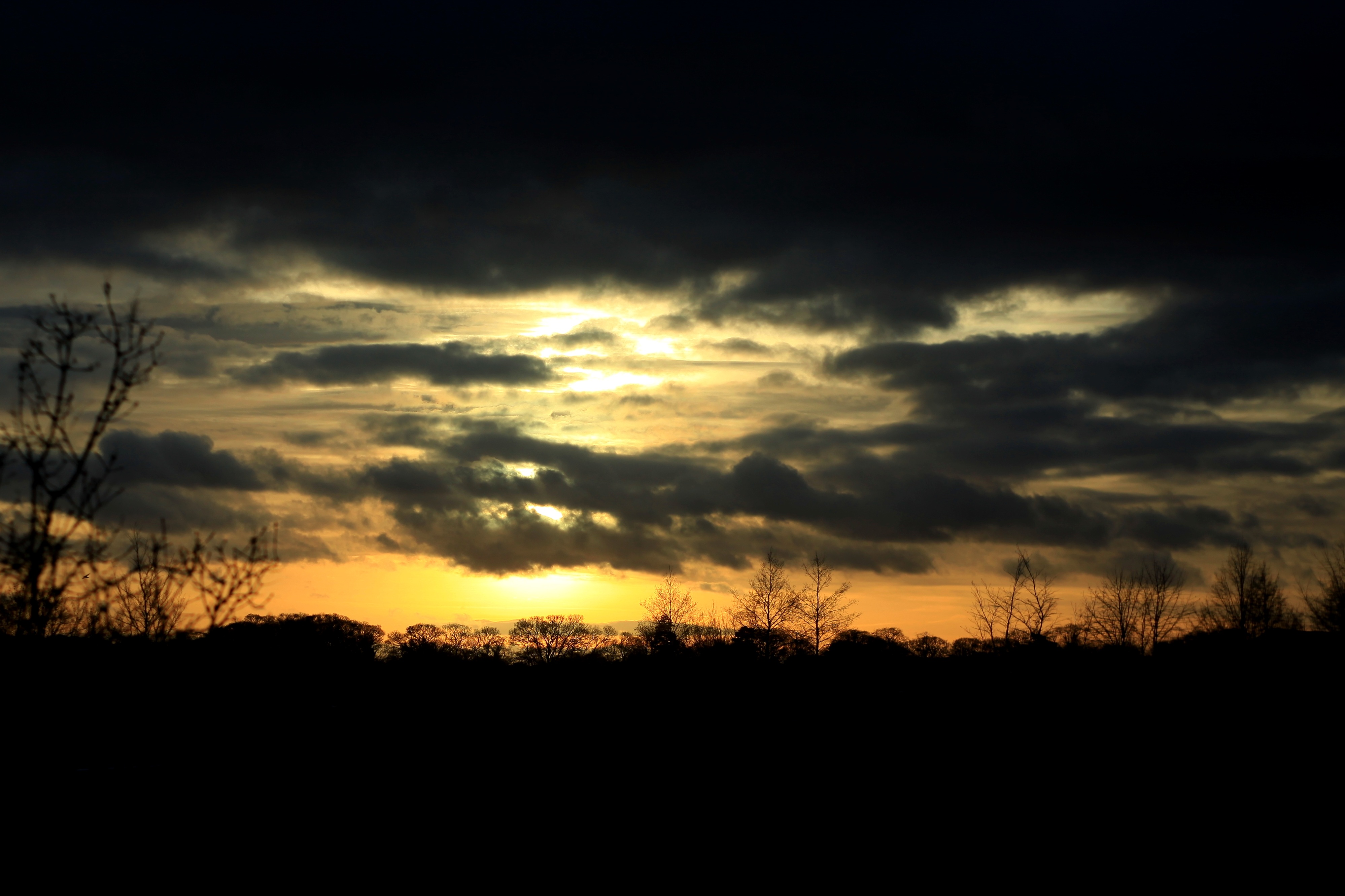 Sunset Twilight Evening The free image download