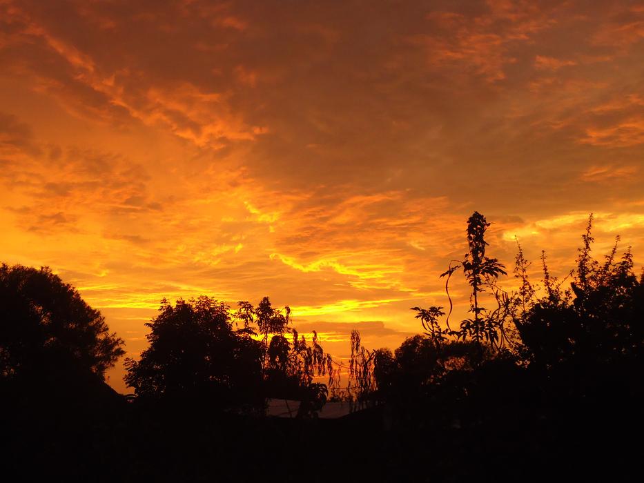 Africa Dusk Sundown free image download