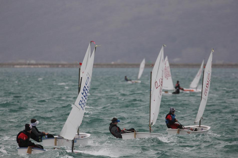 Sailing Optimist free image download