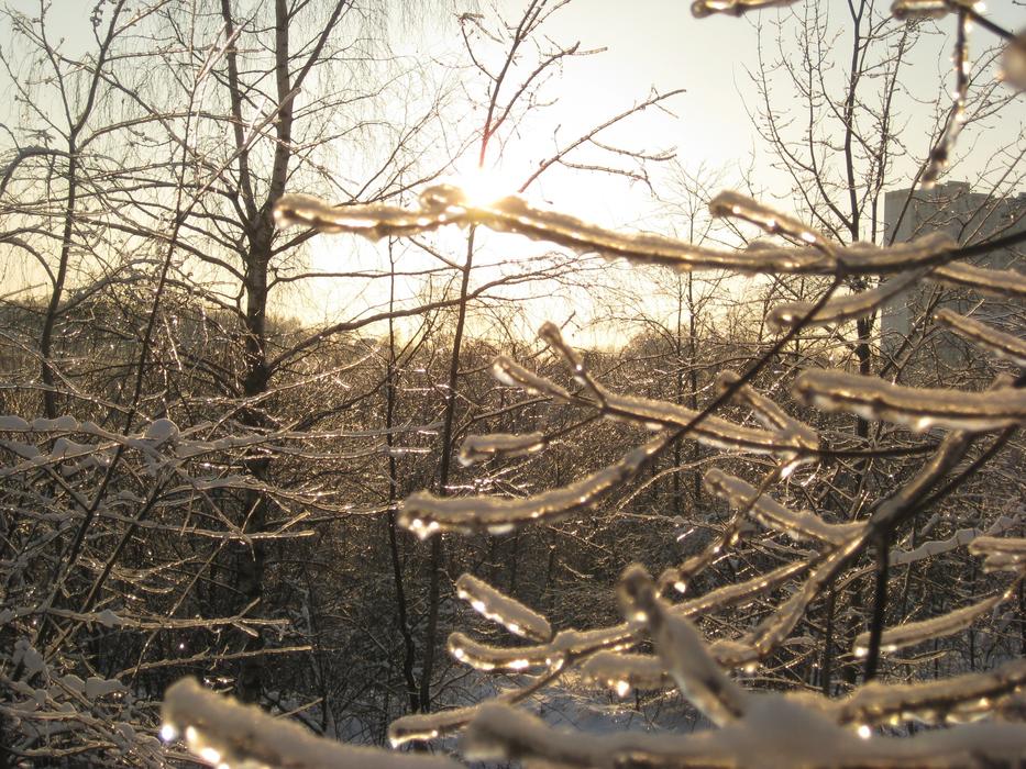 Winter Spring Freezing Rain free image download