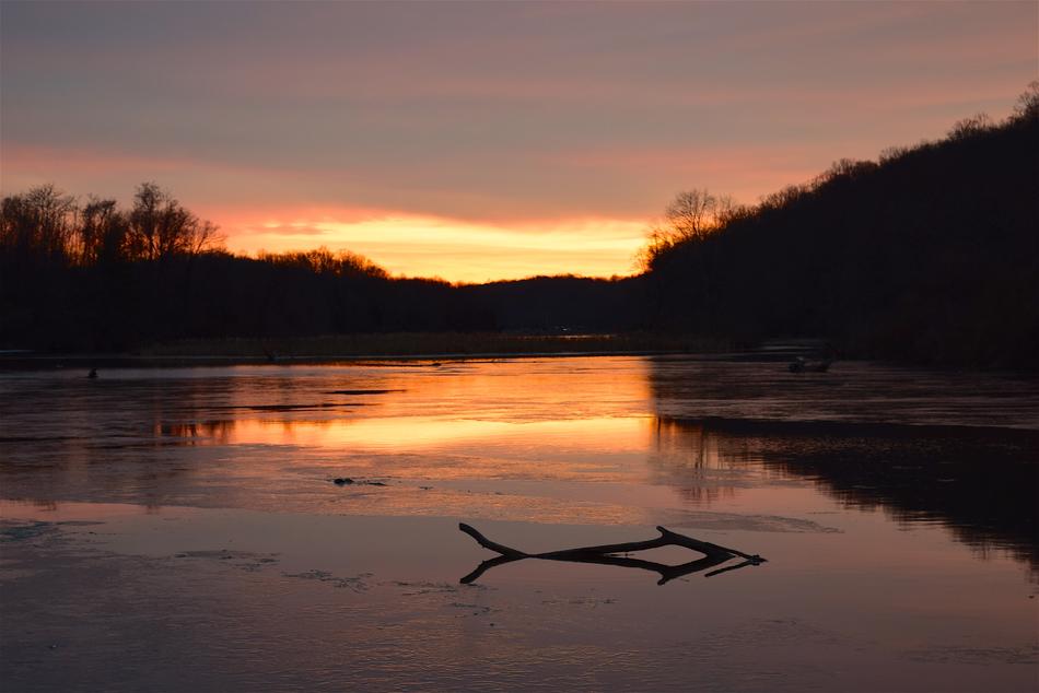 Sunset Lake Branch free image download