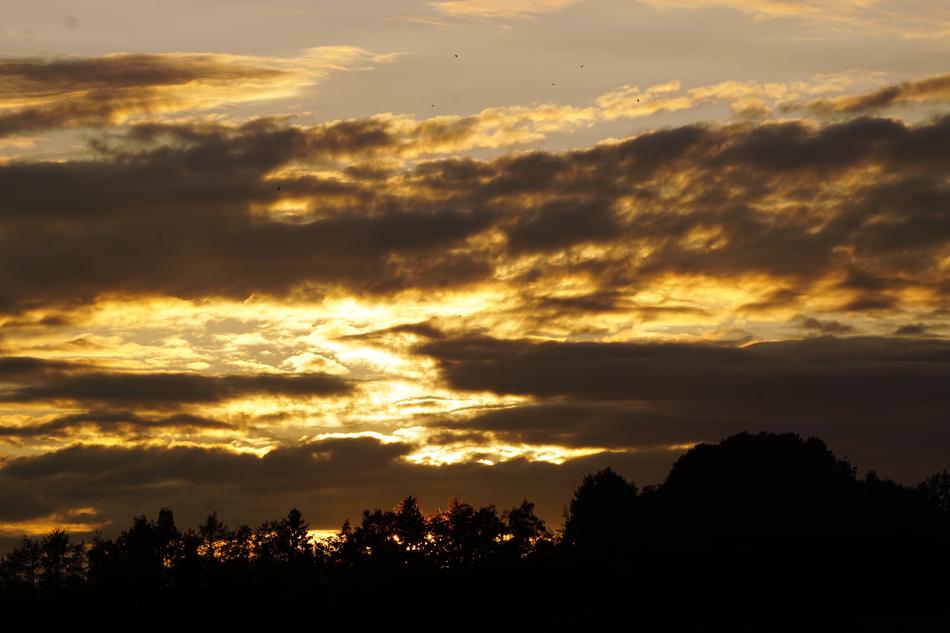 Evening Sky Clouds scenery free image download
