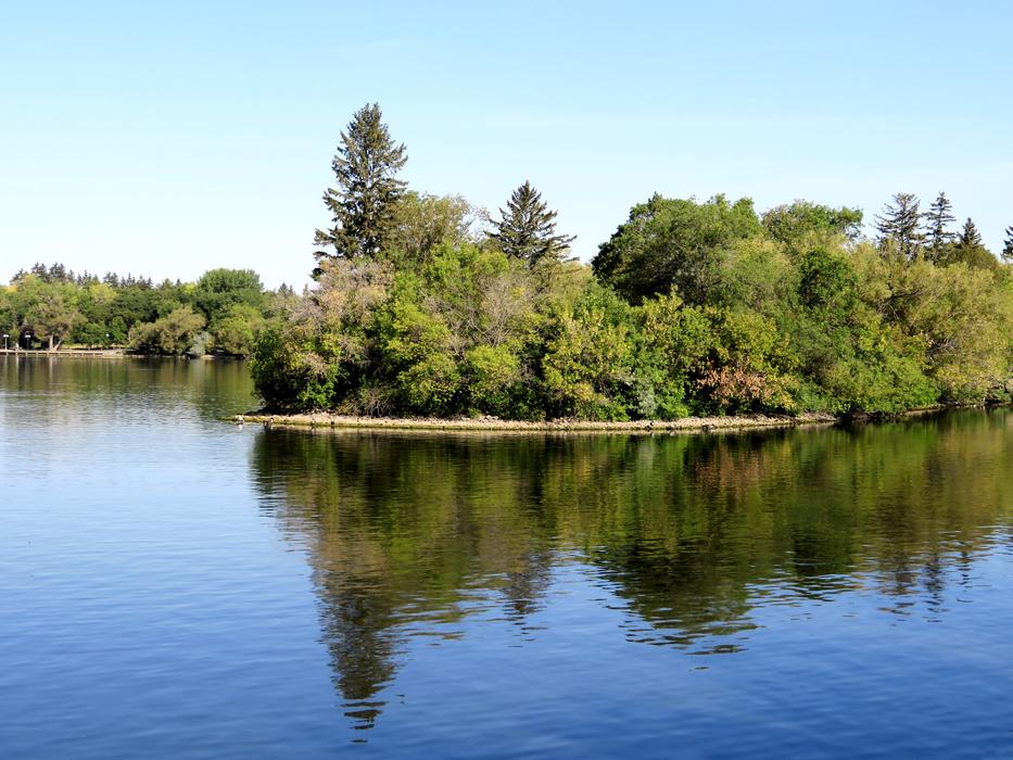 Island coast Trees Reflection free image download