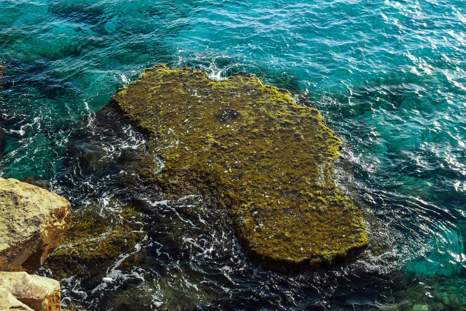 Rock Reef Nature free image download