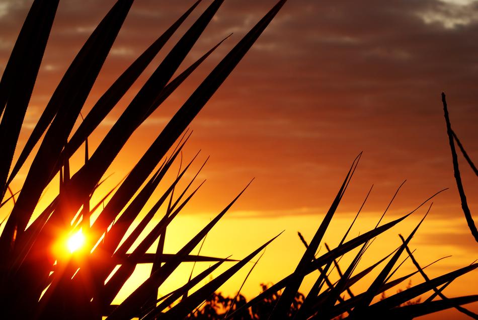 Reunion Island Sunset Evening free image download
