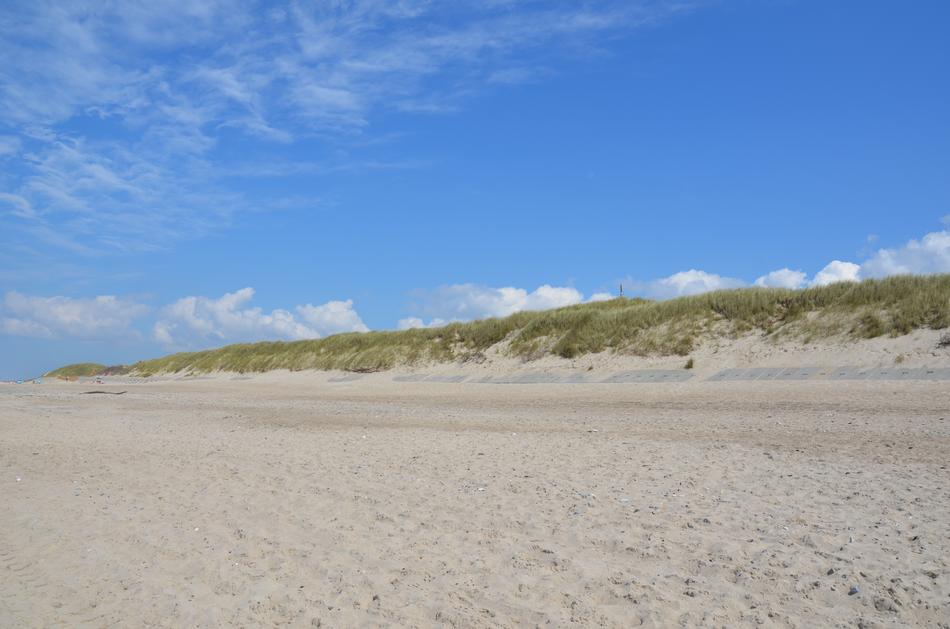 Denmark Beach Dunes North free image download