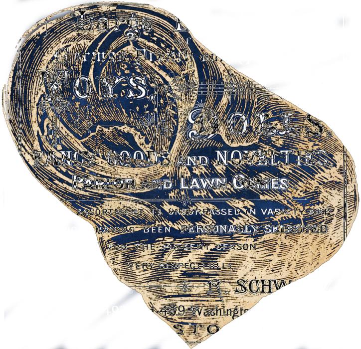 Snail caracol seashell free image download