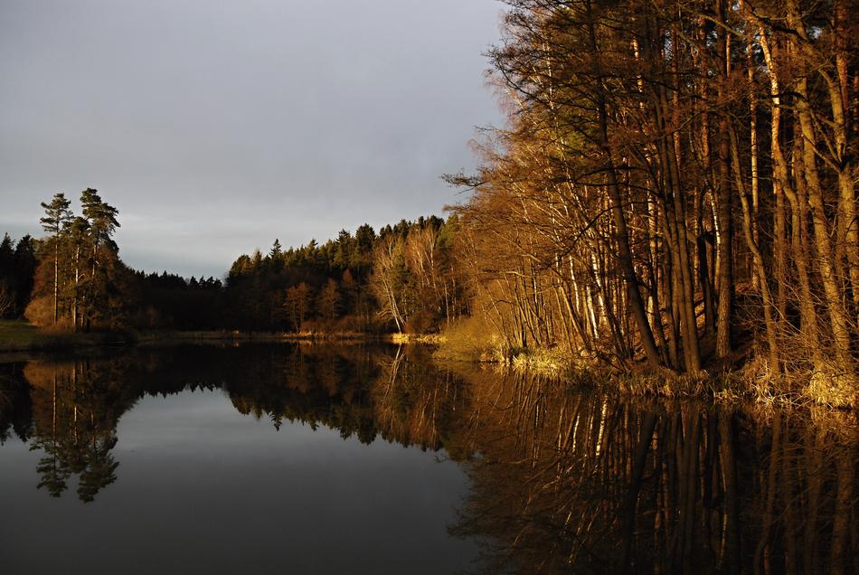 Pond Surface Sunset free image download