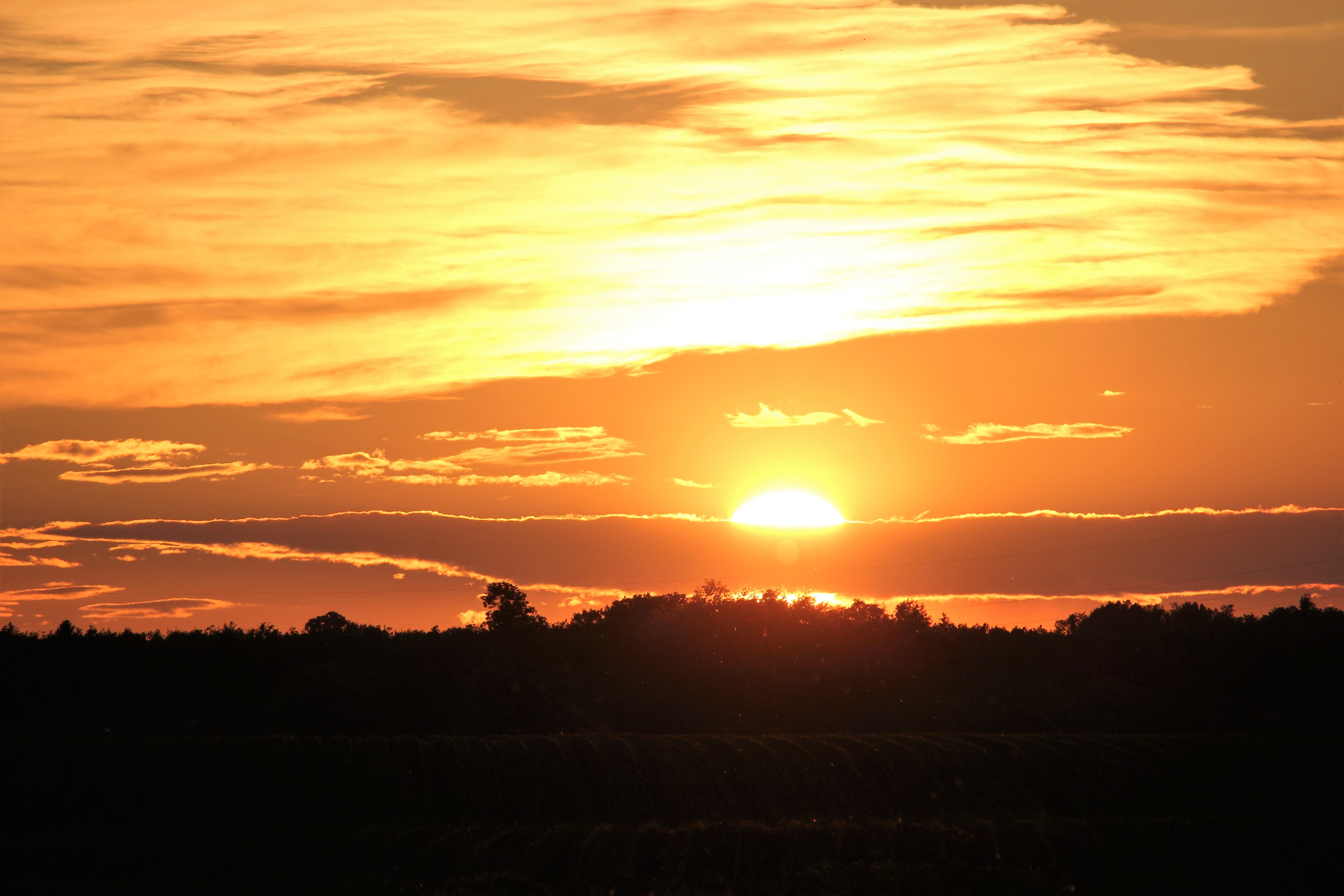 Sunset Evening Horizon free image download