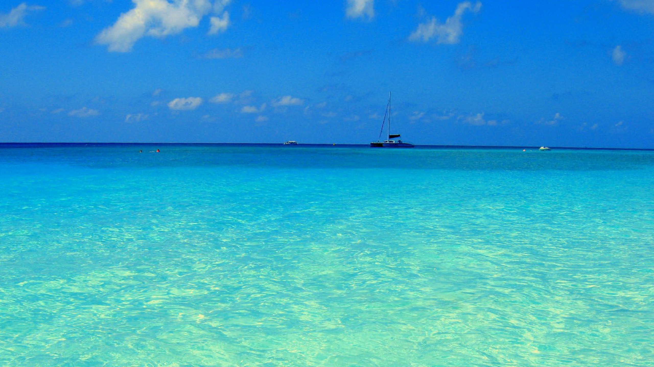 Clear Blue Water near Ocean beach free image download