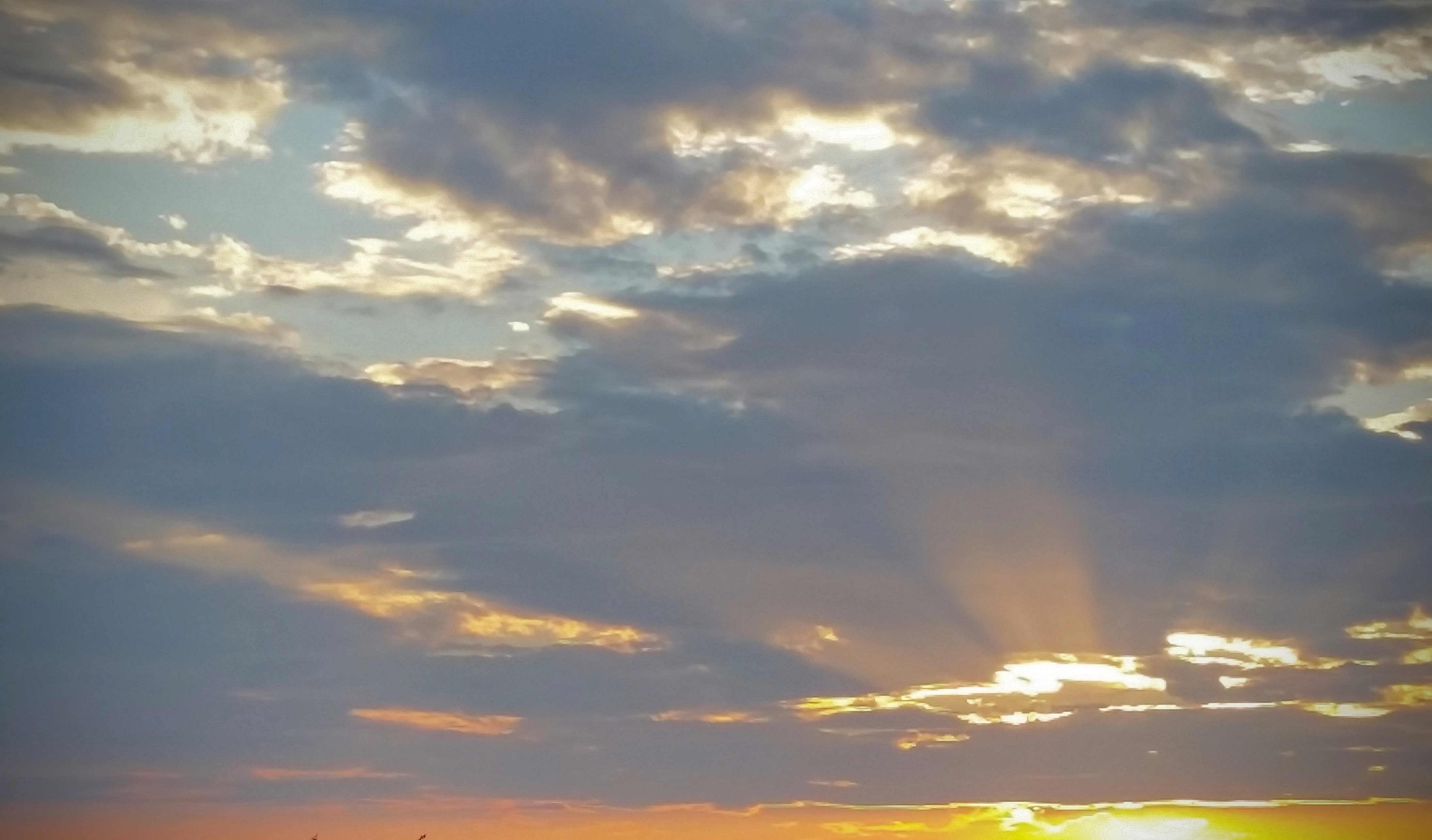 Sunset Sunsets Sky Yellow free image download