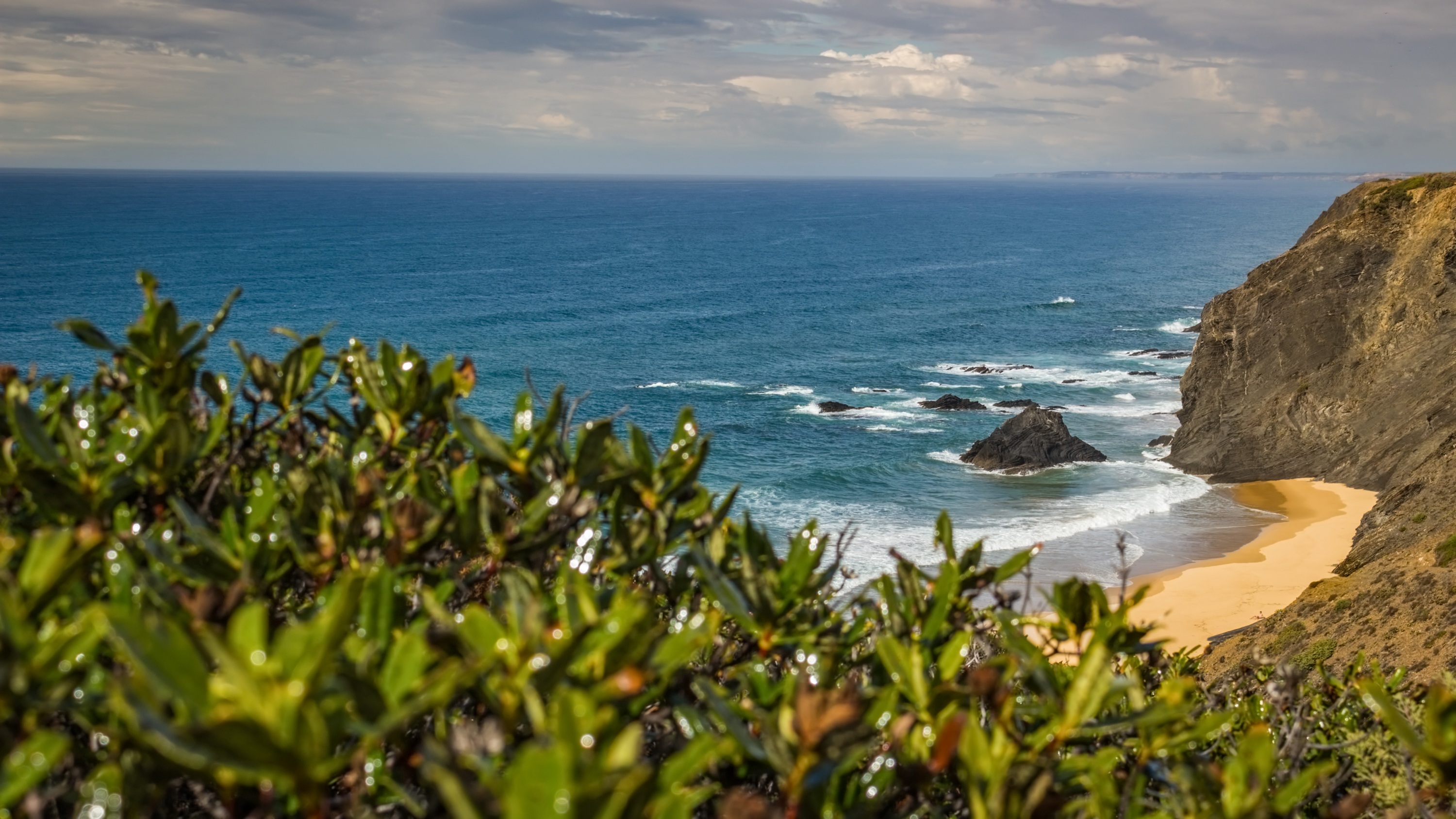 Water Seashore Nature free image download