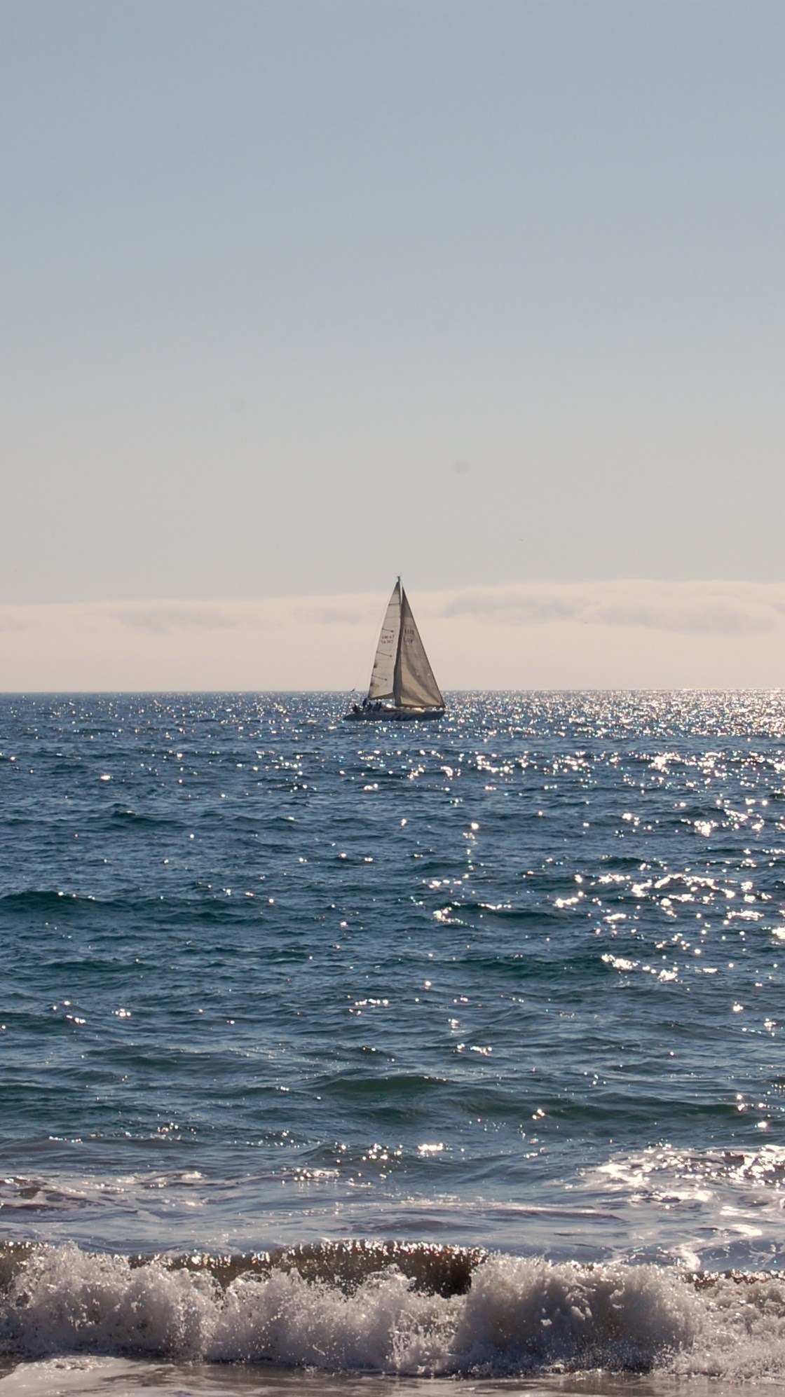 Yacht Sail Sailing free image download