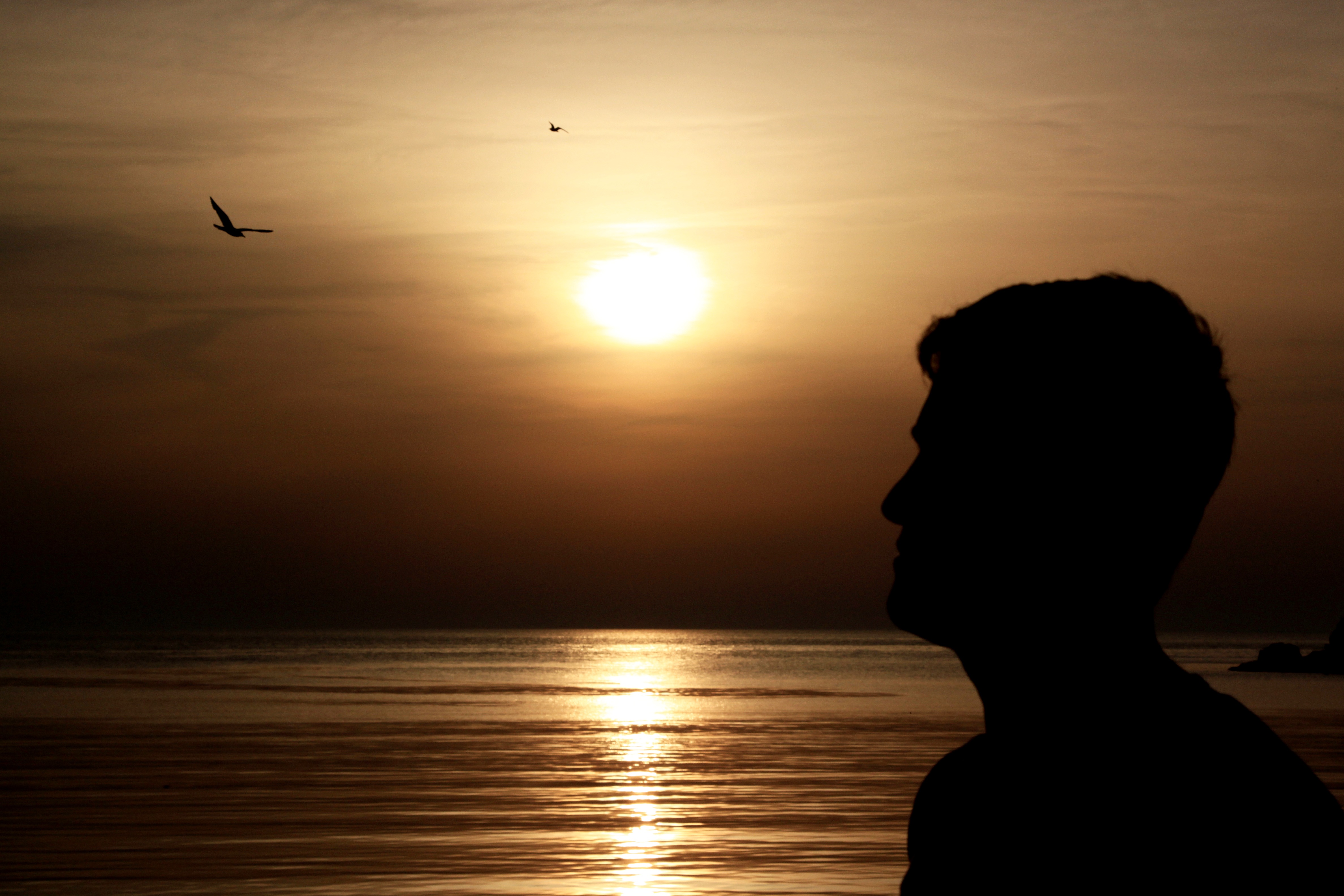 Portrait Sunset Human free image download