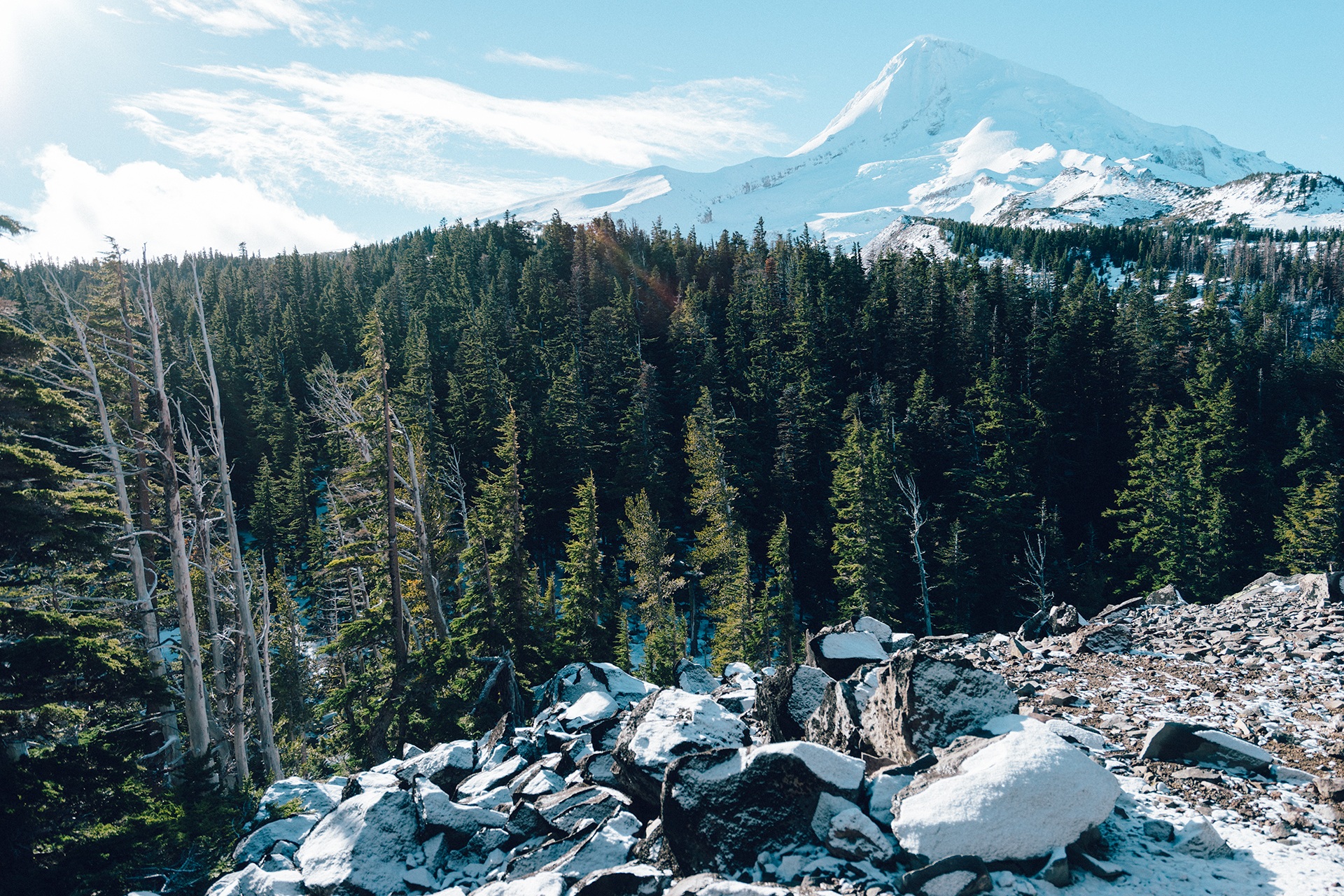 Mountain Winter Forest free image download