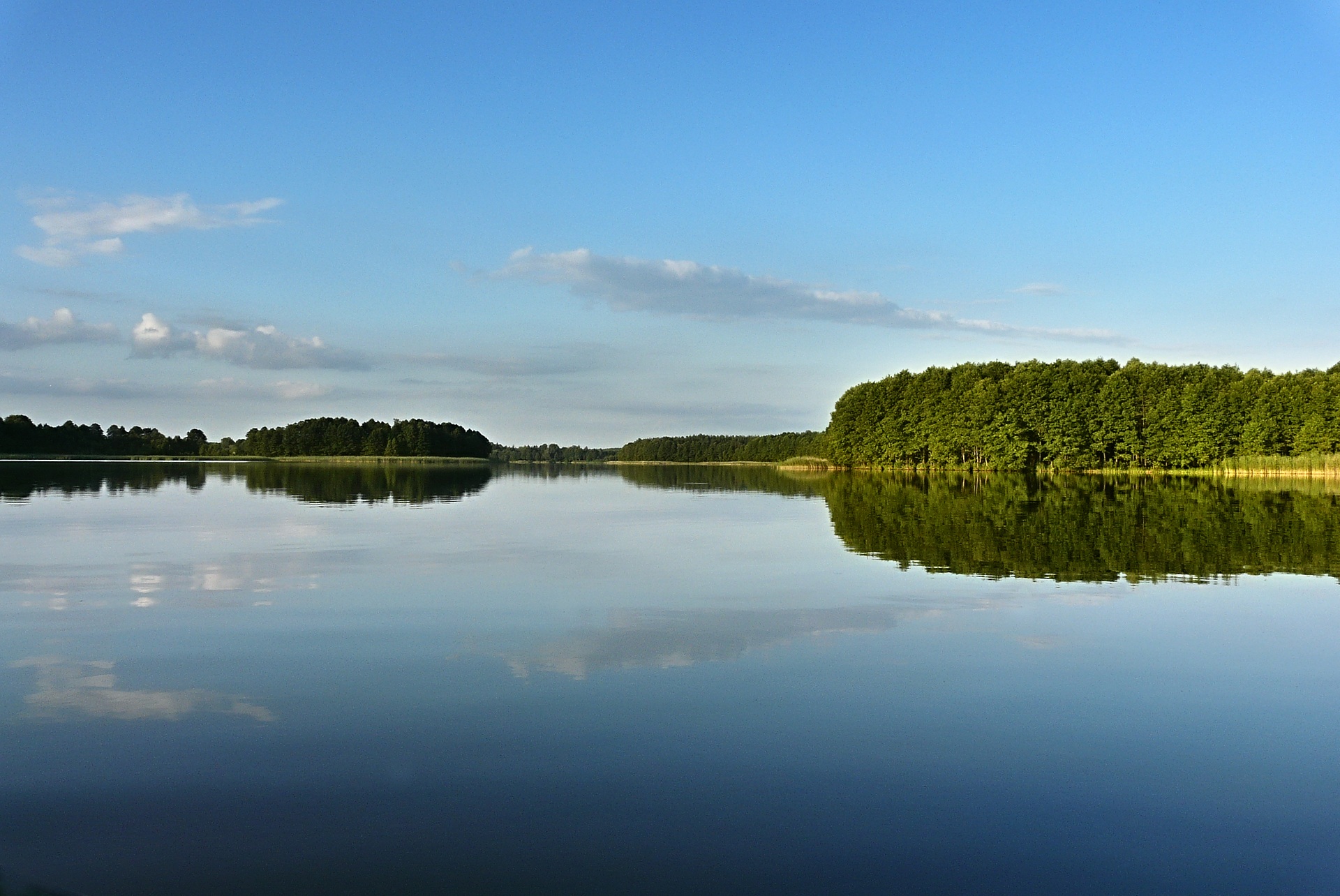 Lake Summer Forest free image download
