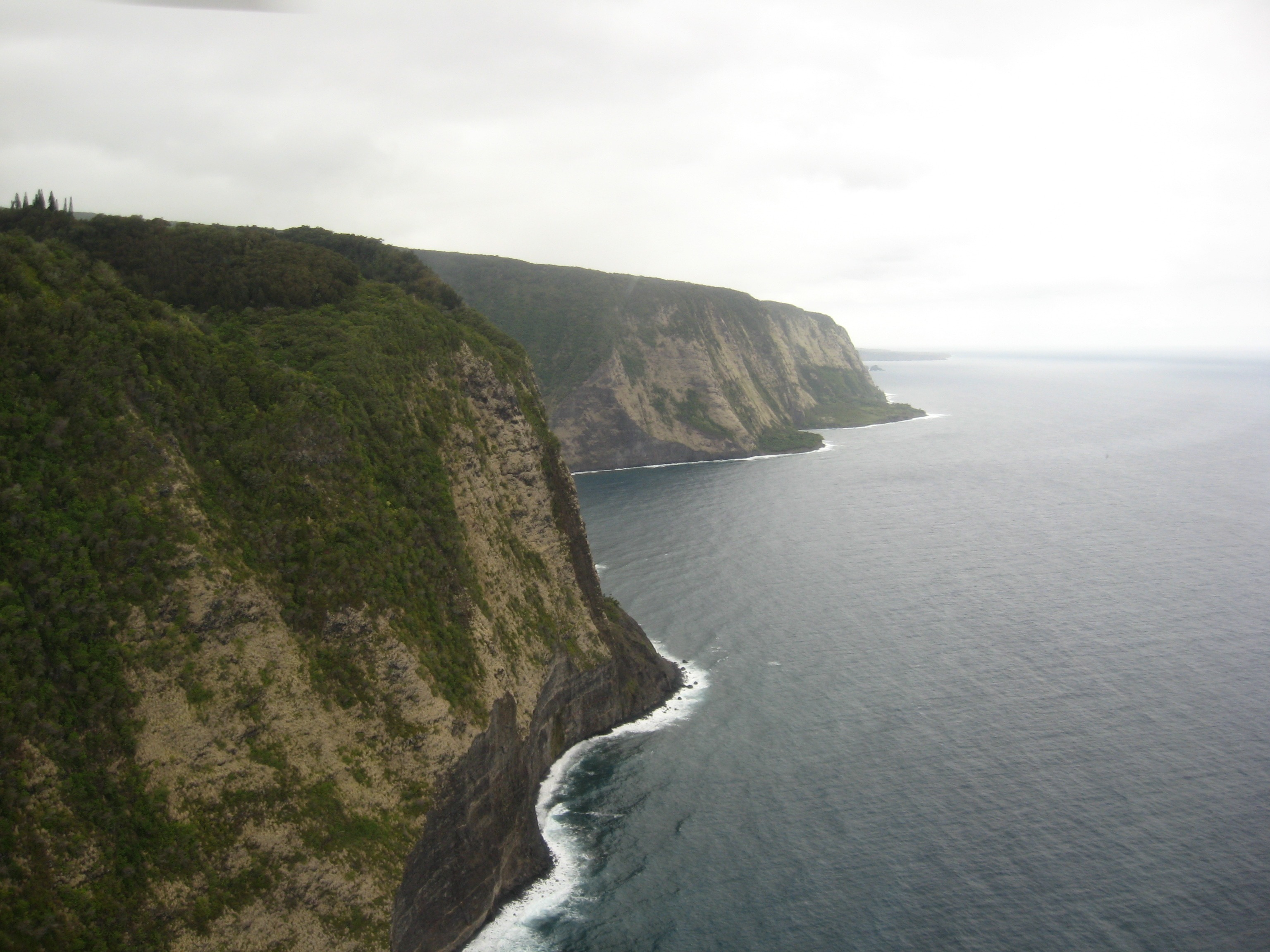 Misty Fog Cliff free image download
