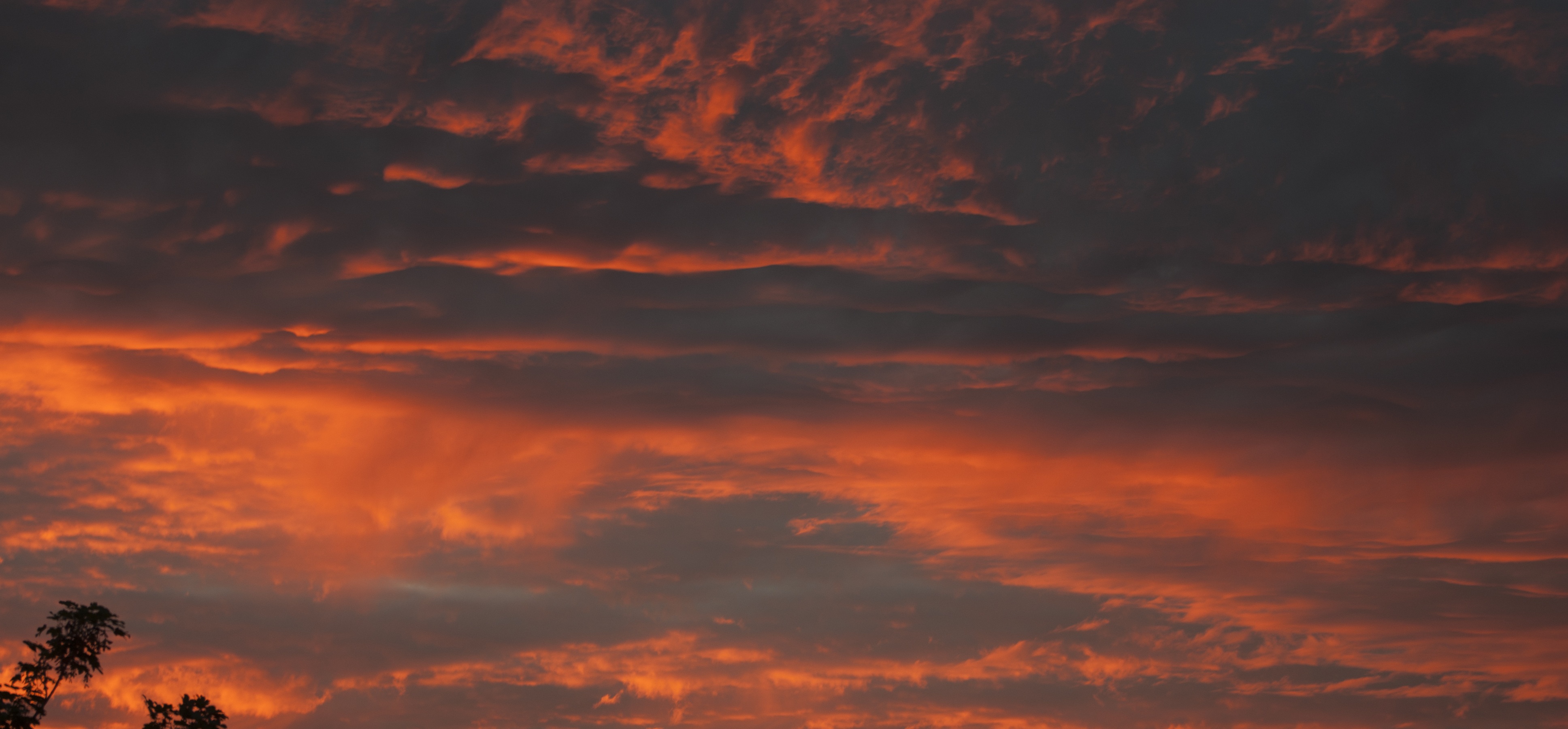 Sunset Evening Horizon Blazing free image download